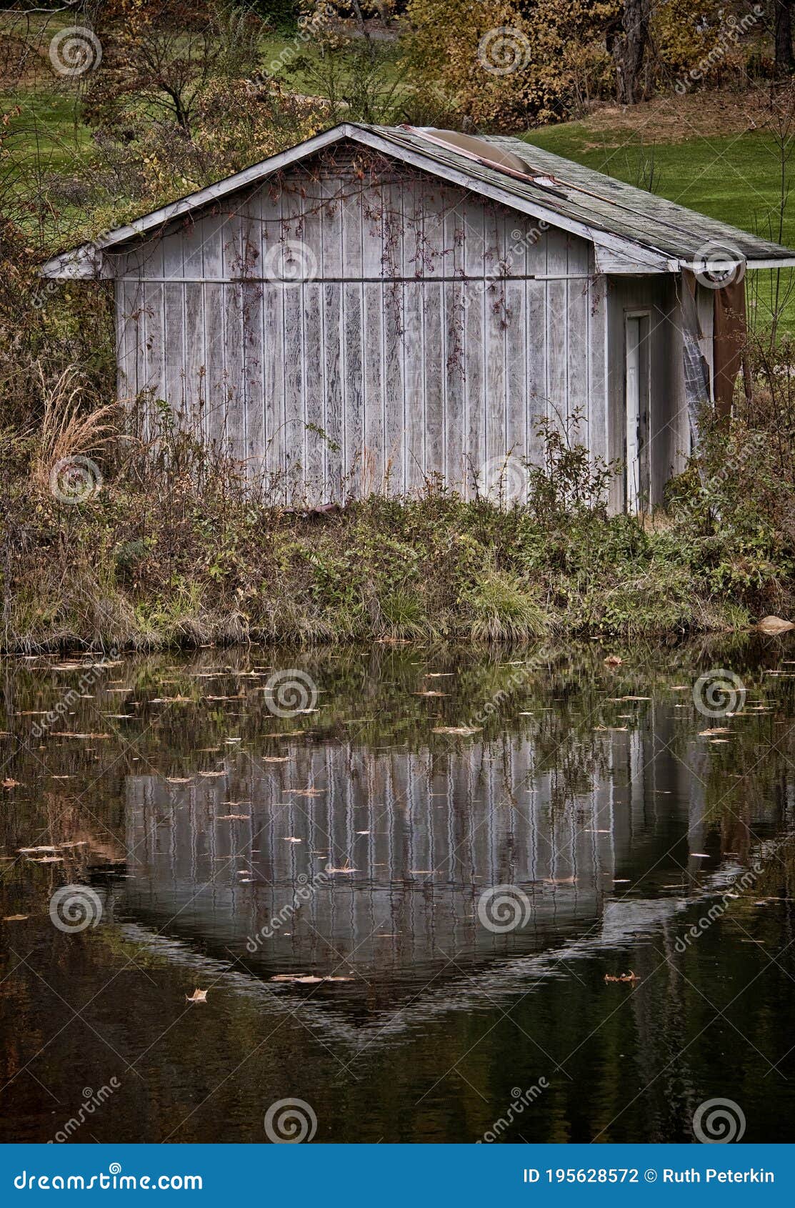 Shed with a Pond Reflection Stock Photo - Image of abandoned ...