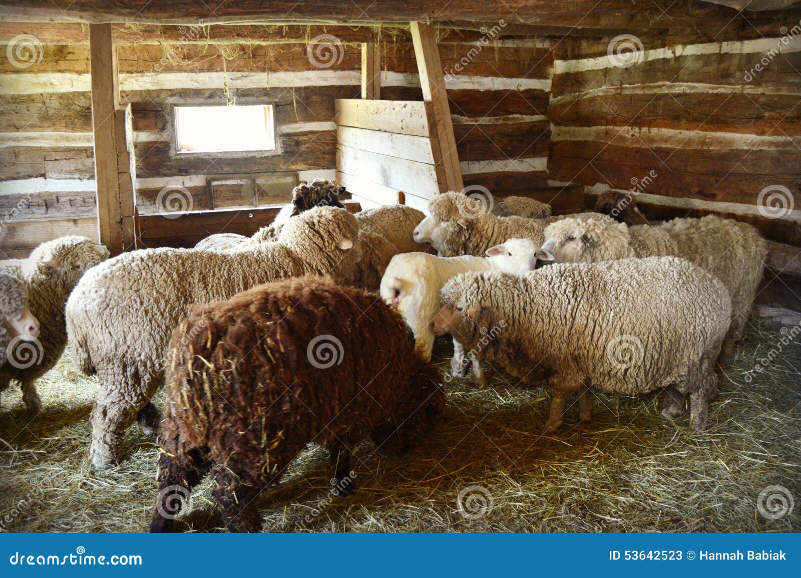 3,052 World Smell Stock Photos - Free & Royalty-Free Stock Photos from ...