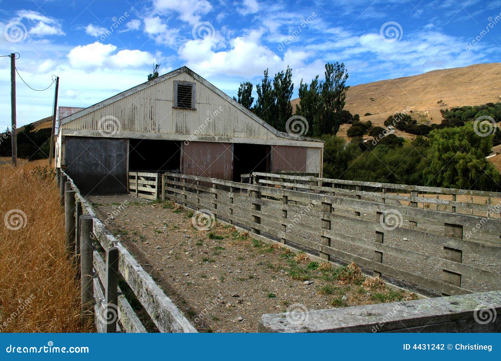 Sheep barn New Zealand stock photo. Image of road, barn - 4431242