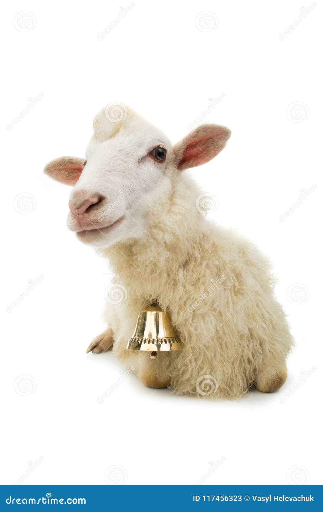 Sheep with bell stock image. Image of icon, happy, symbol - 117456323