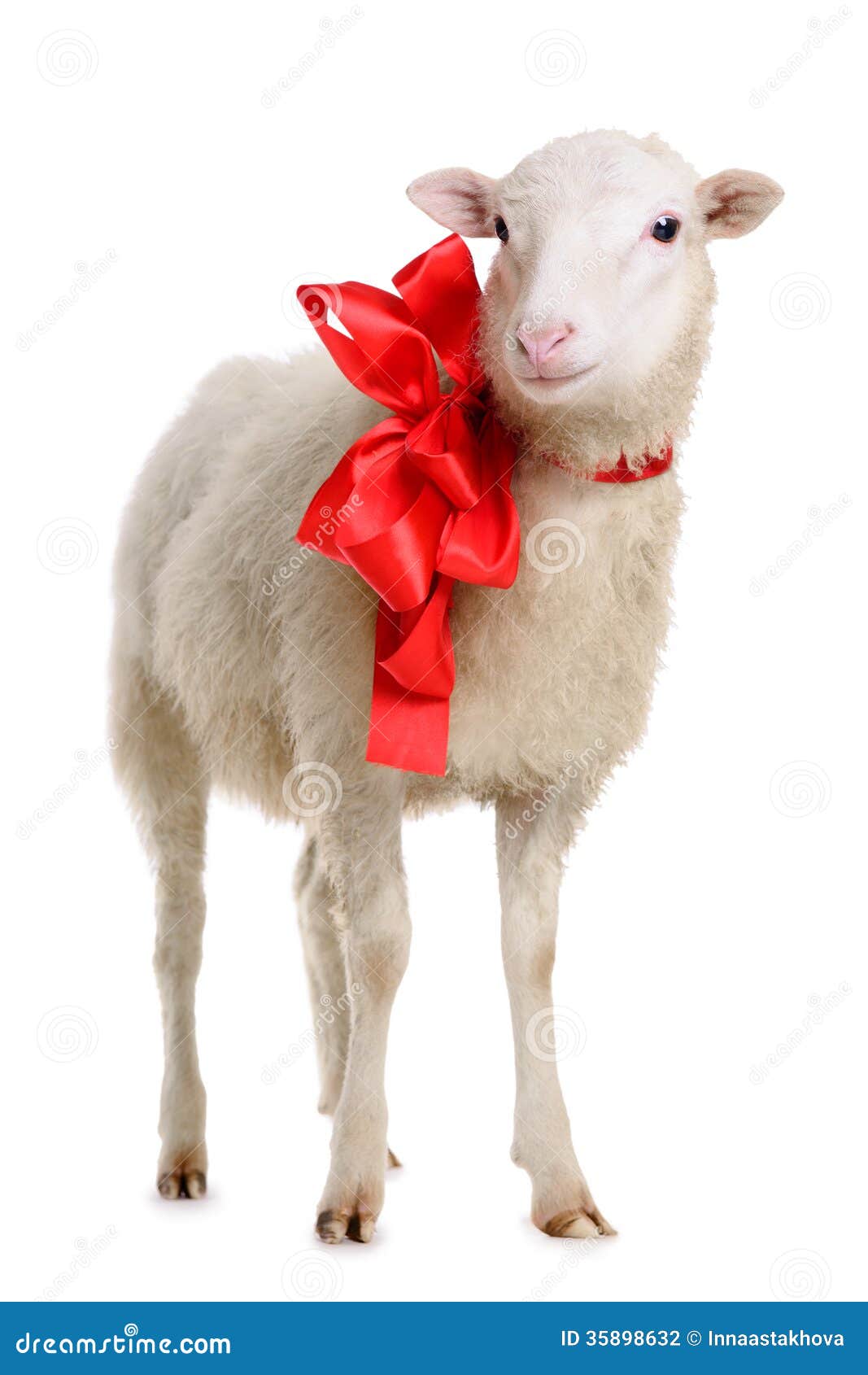 3,567 Bow Farm Stock Photos - Free & Royalty-Free Stock Photos from ...