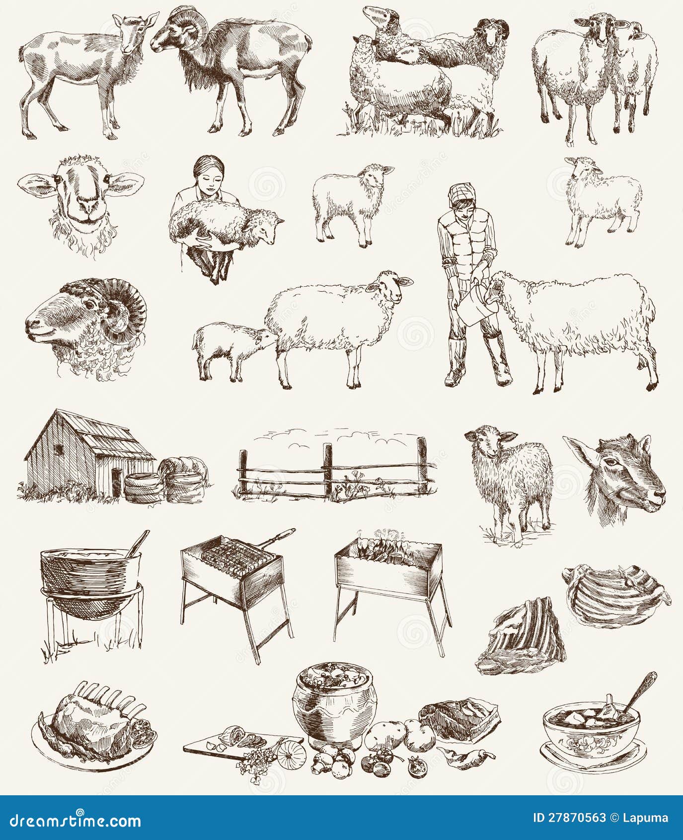 Jumbuck Cartoons, Illustrations & Vector Stock Images - 543 Pictures to ...