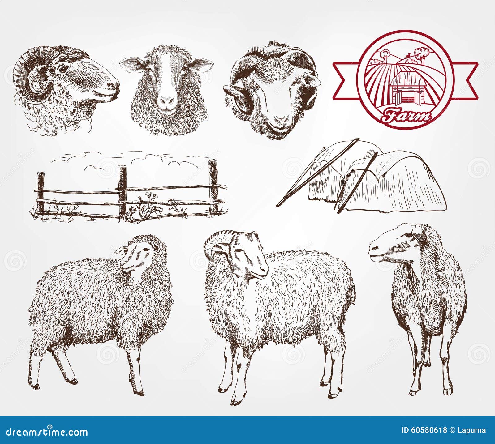 Sheep Breeding Sketch Vector Illustration | CartoonDealer.com #63722280