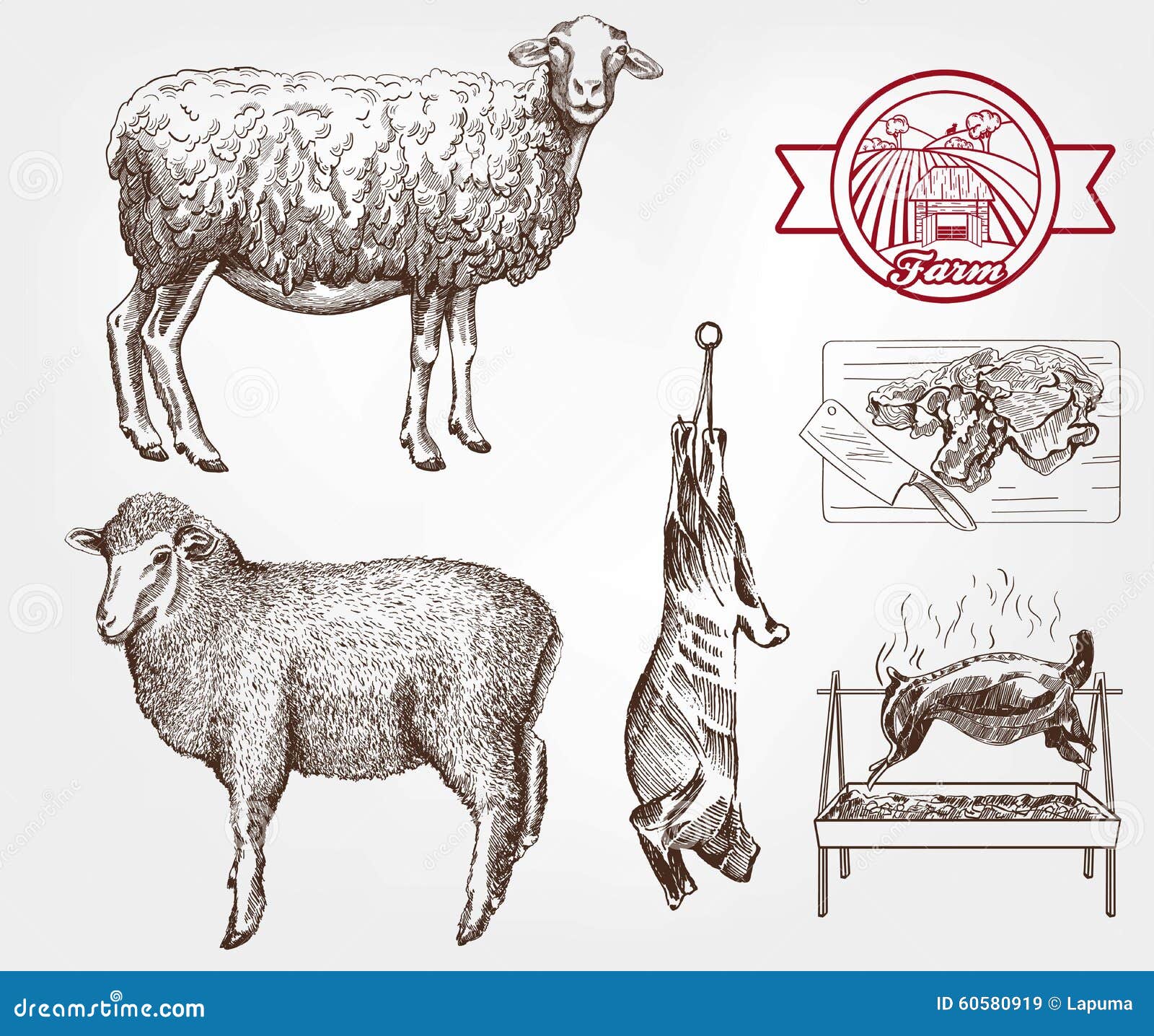 Sheep Breeding Sketch Vector Illustration | CartoonDealer.com #63722280