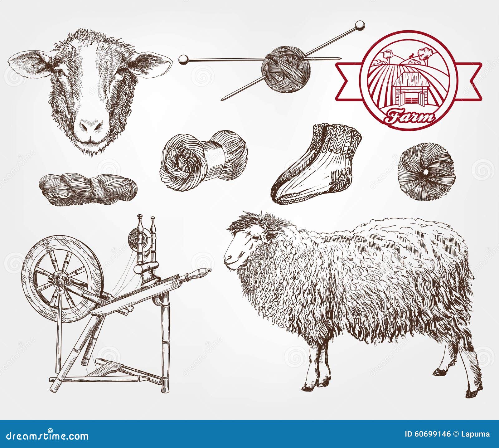 Sheep Breeding Infographics Cartoon Vector | CartoonDealer.com #111512383