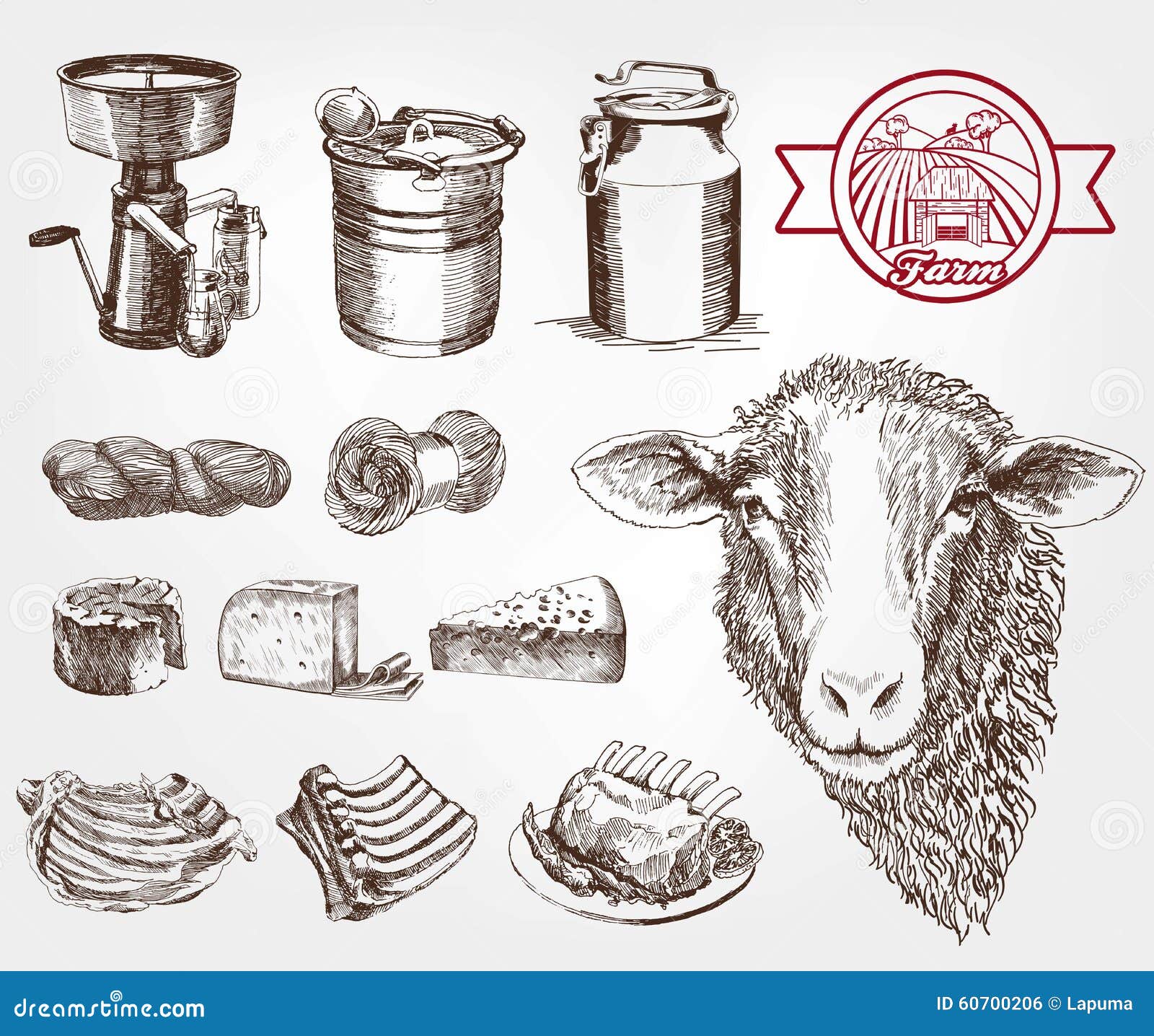 Sheep Breeding Sketch Cartoon Vector | CartoonDealer.com #68251109