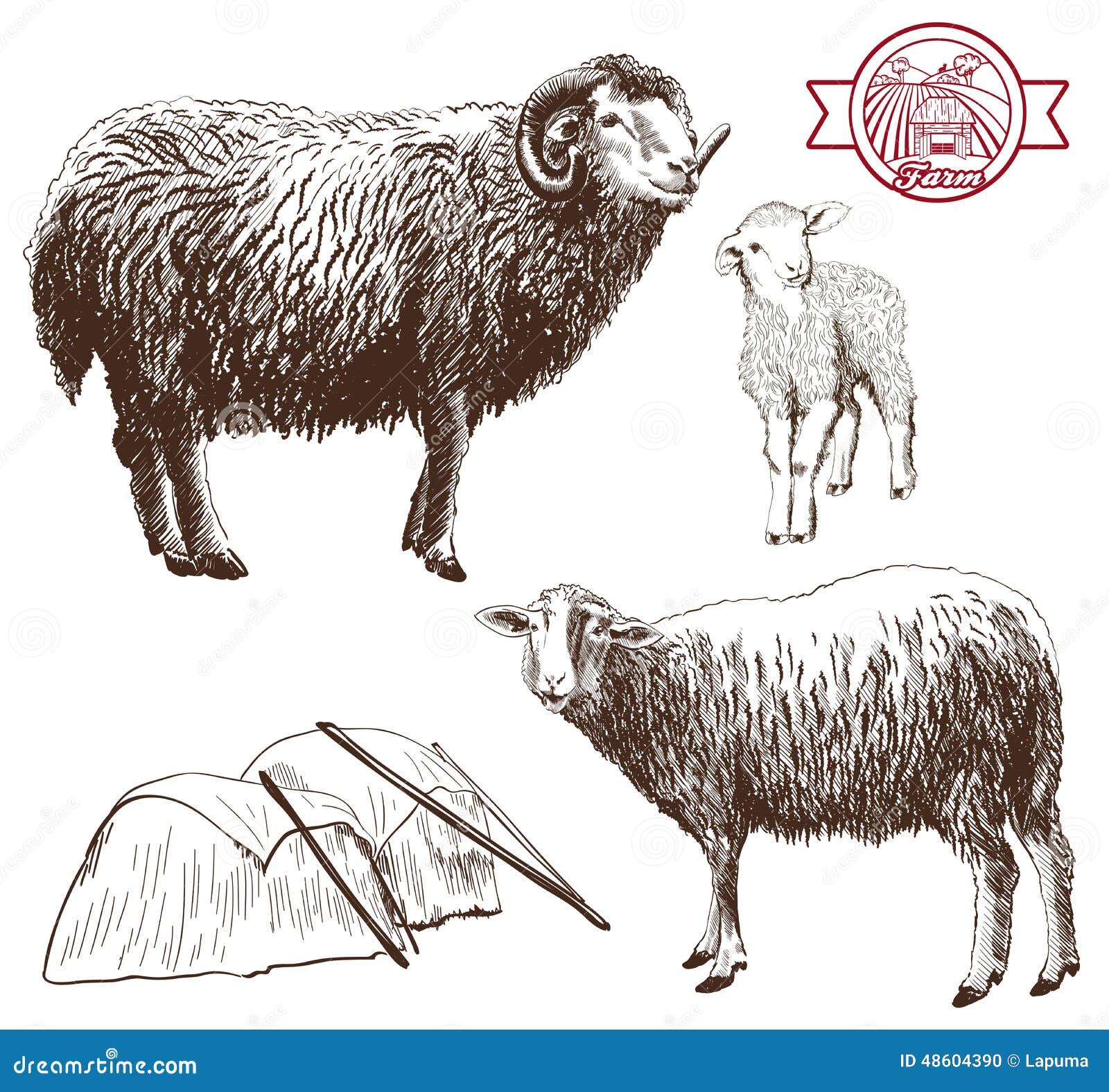 Sheep Breeding Sketch Cartoon Vector | CartoonDealer.com #63377821
