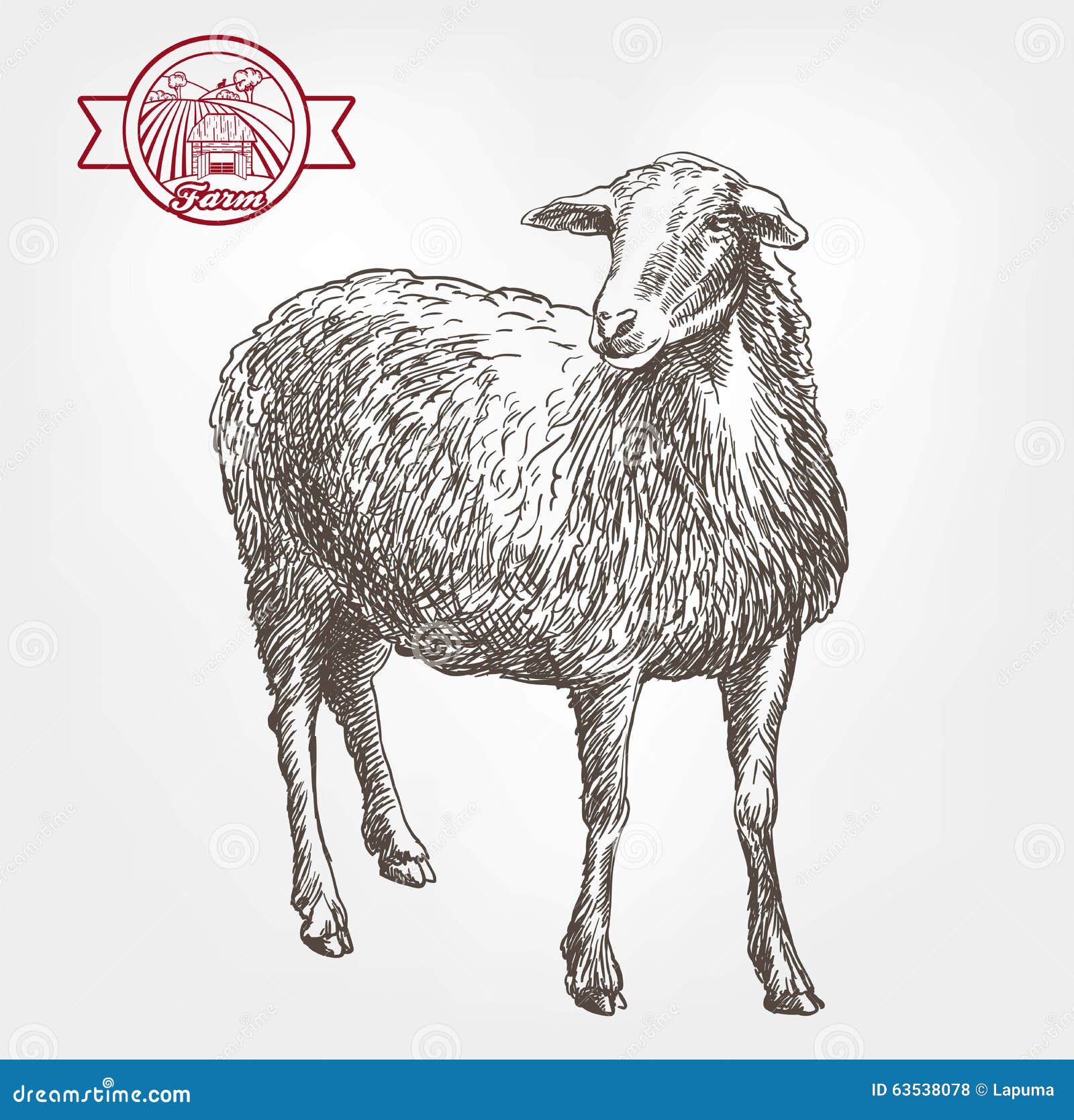 Sheep Breeding Sketch Vector Illustration | CartoonDealer.com #63721764