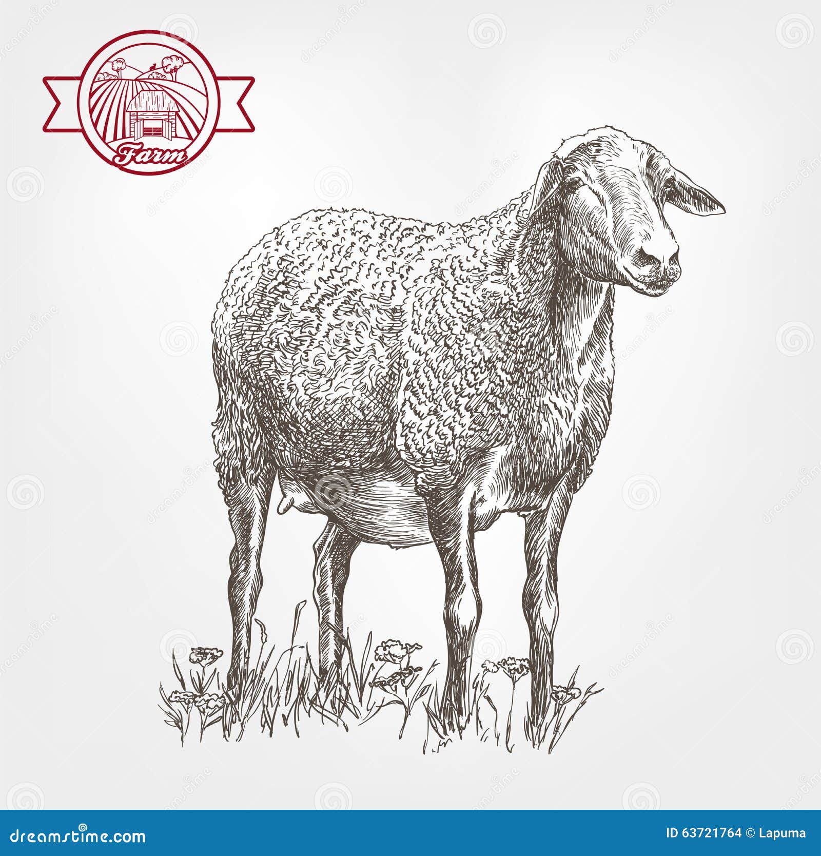 Sheep Breeding Sketch Cartoon Vector | CartoonDealer.com #68251109 Sheep Breeding Sketch Cartoon Vector | CartoonDealer.com #68251109