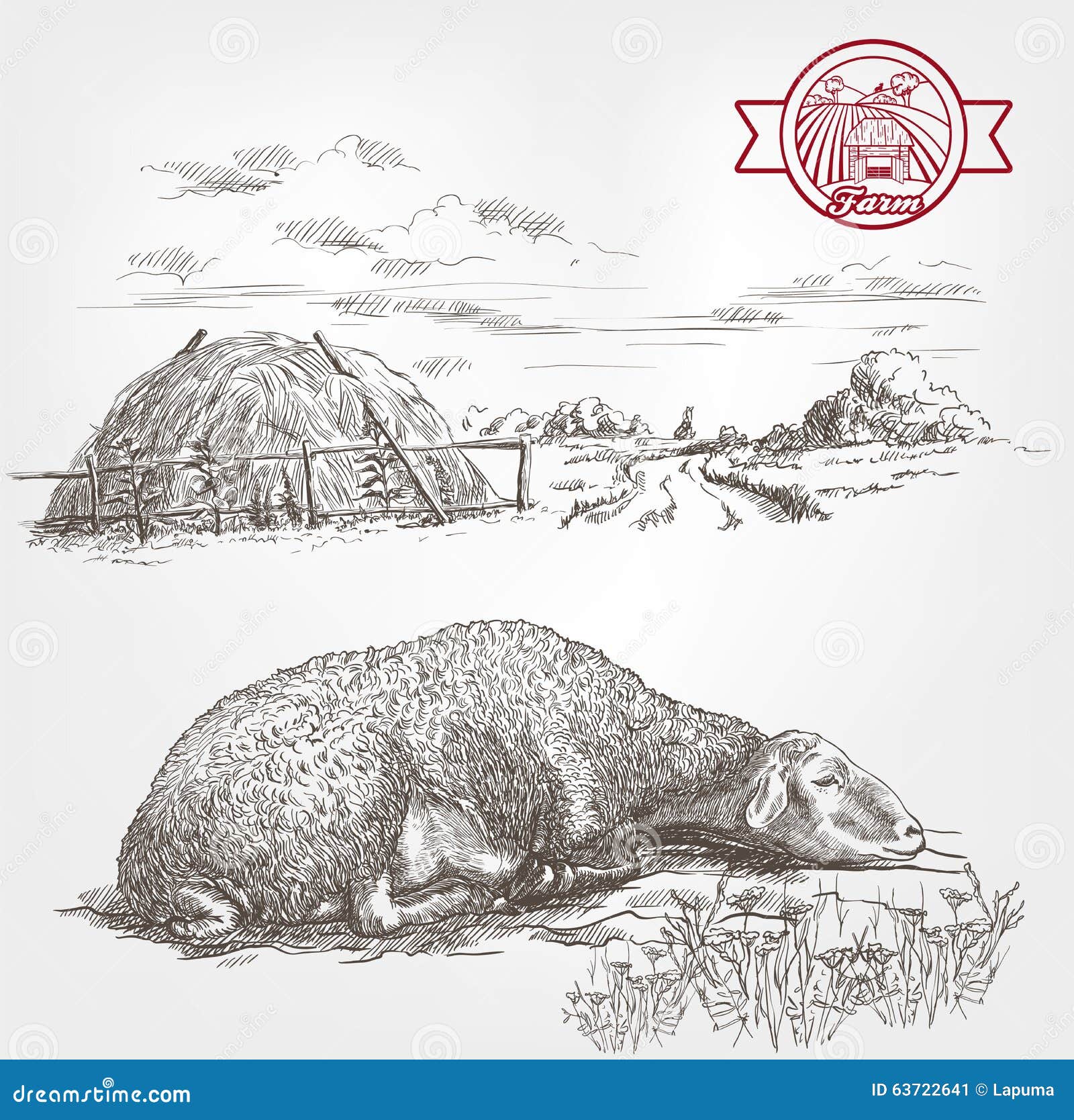 Sheep Breeding Sketch Cartoon Vector | CartoonDealer.com #68251109