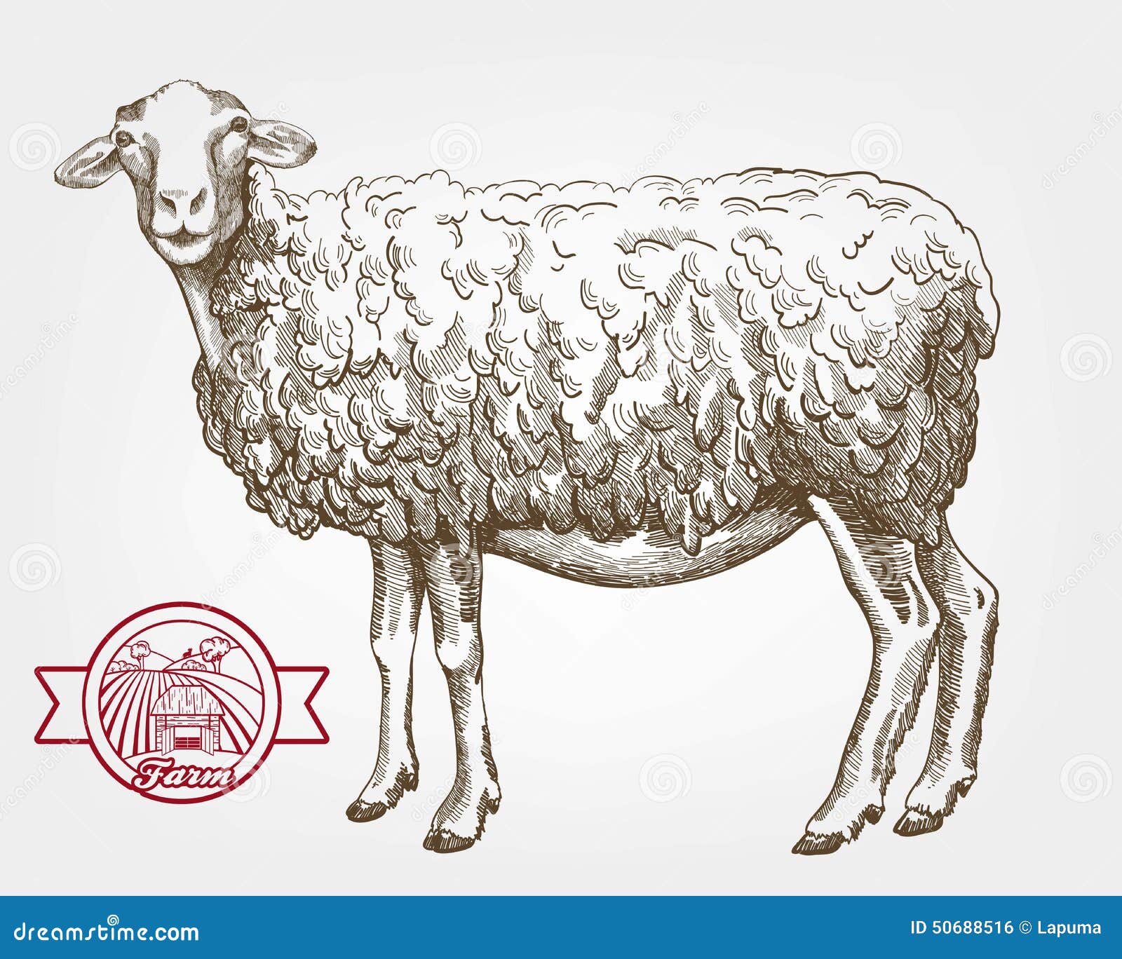 Sheep Breeding Sketch Cartoon Vector | CartoonDealer.com #81521151