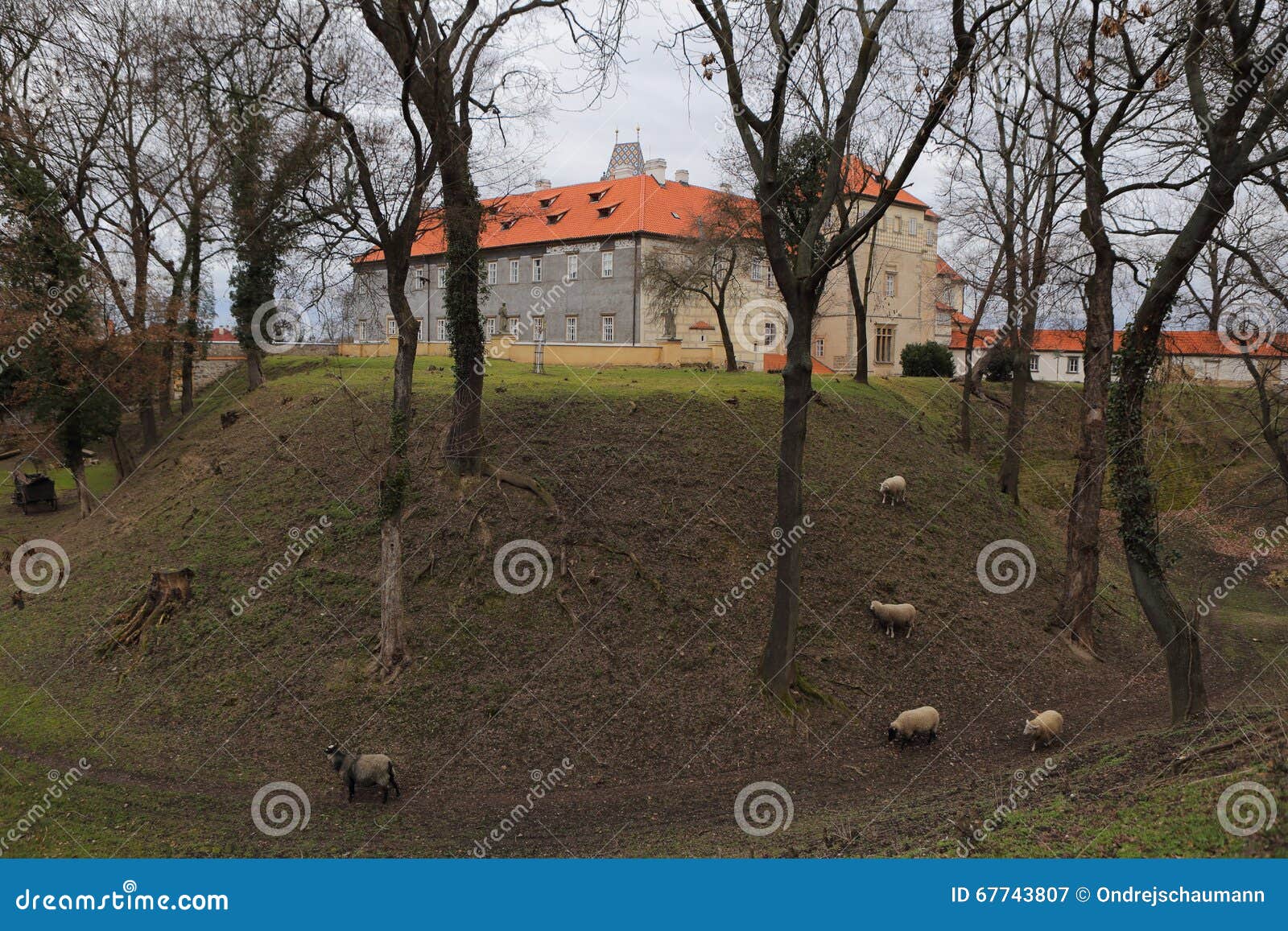Sheep by the castle stock image. Image of forest, wide - 67743807
