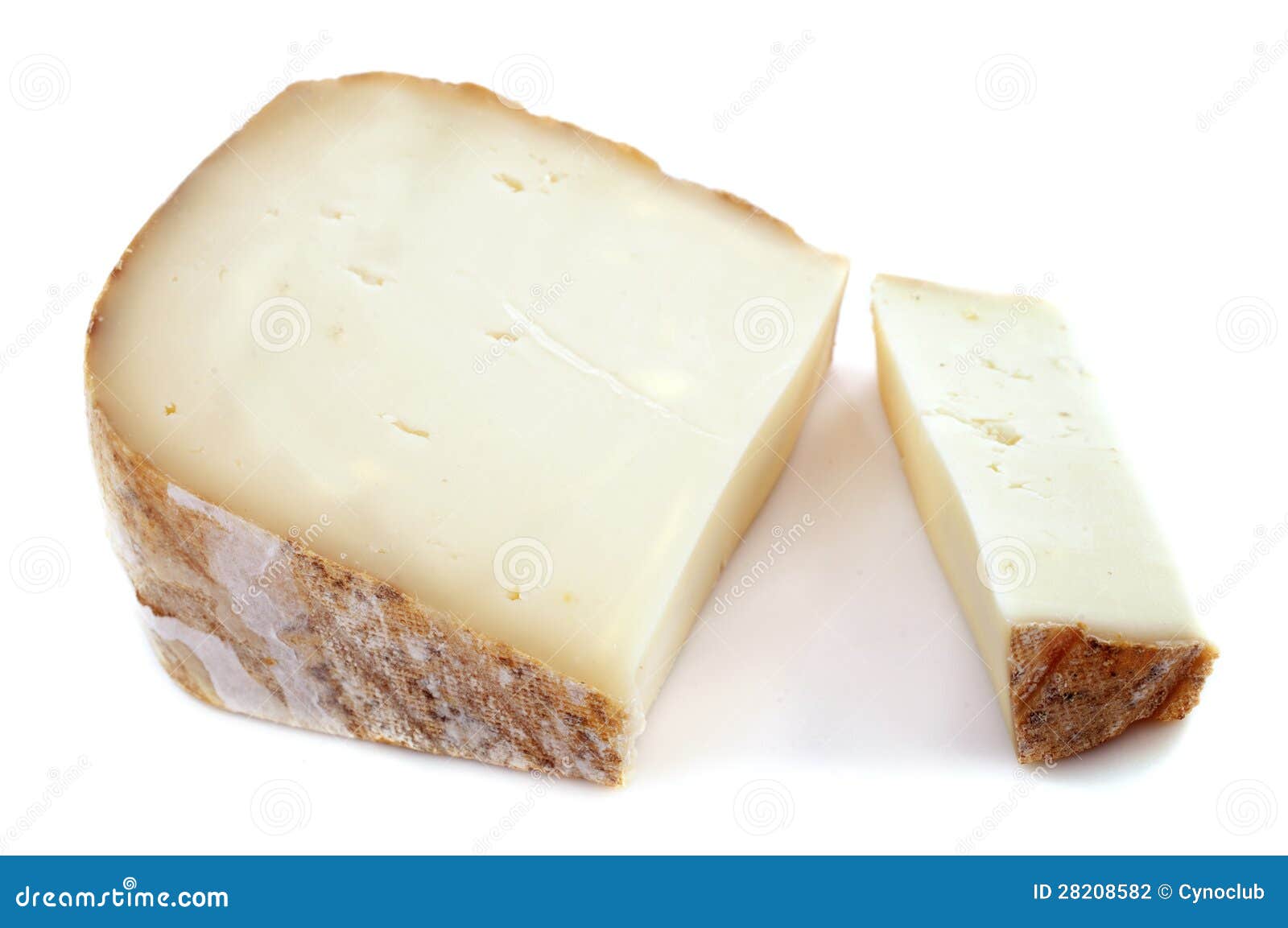 Sheep cheese stock photo. Image of milk, studio, dairy - 28208582
