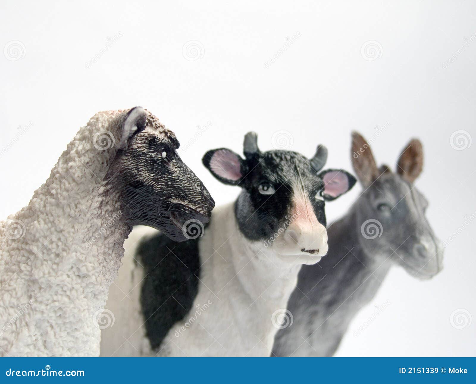 Sheep, cow and donkey stock image. Image of isolated, bovine - 2151339