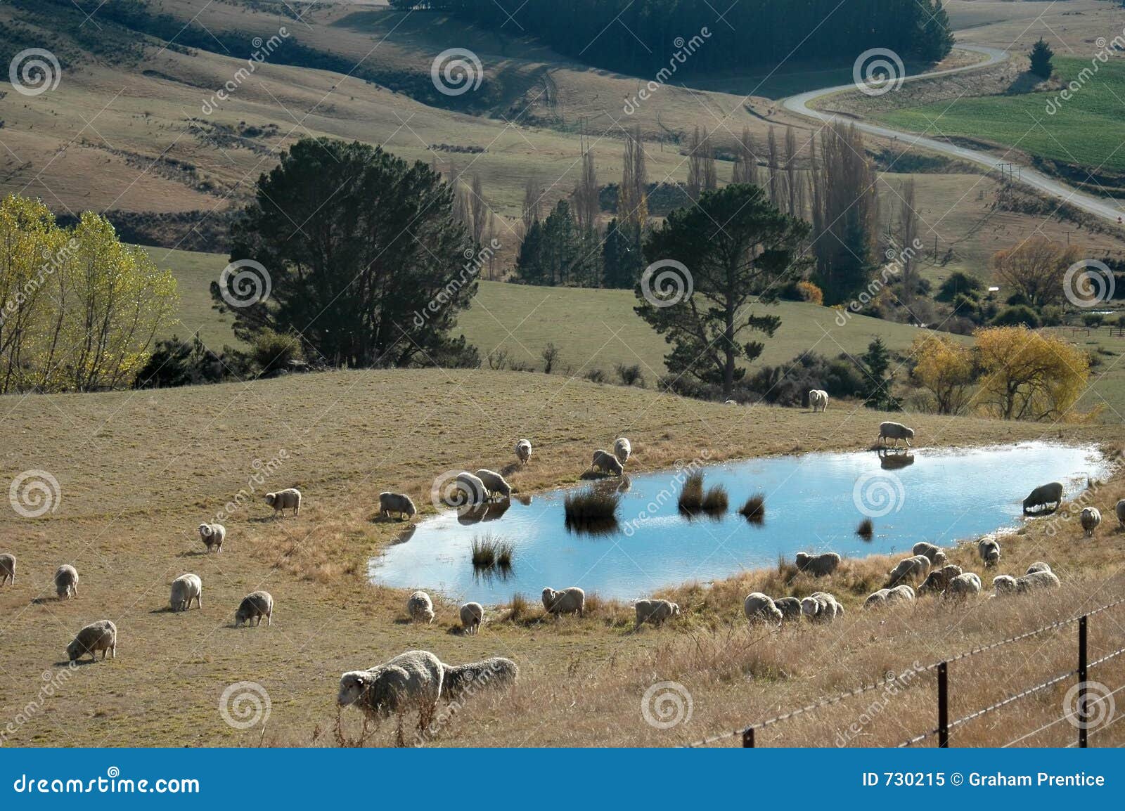 Sheep Farm - Pond in Fall stock image. Image of mountains - 730215