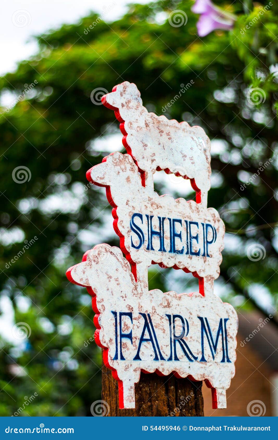 Sheep farm sign stock photo. Image of drive, field, communication ...