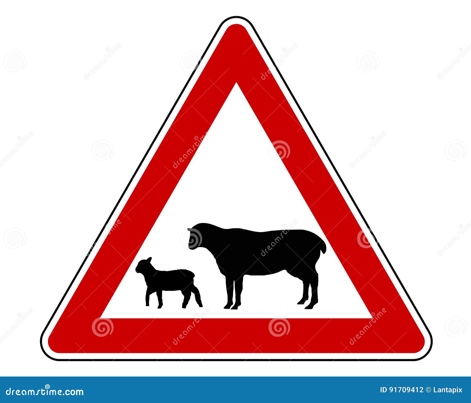 Sheep flock warning sign stock vector. Illustration of animal - 91709412