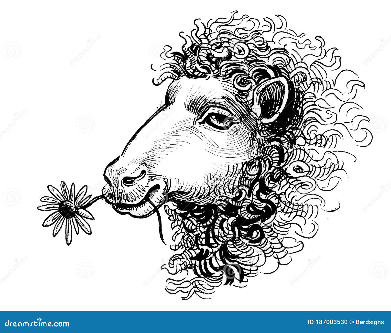 Cow Chewing Flower Cartoon Vector | CartoonDealer.com #35580553