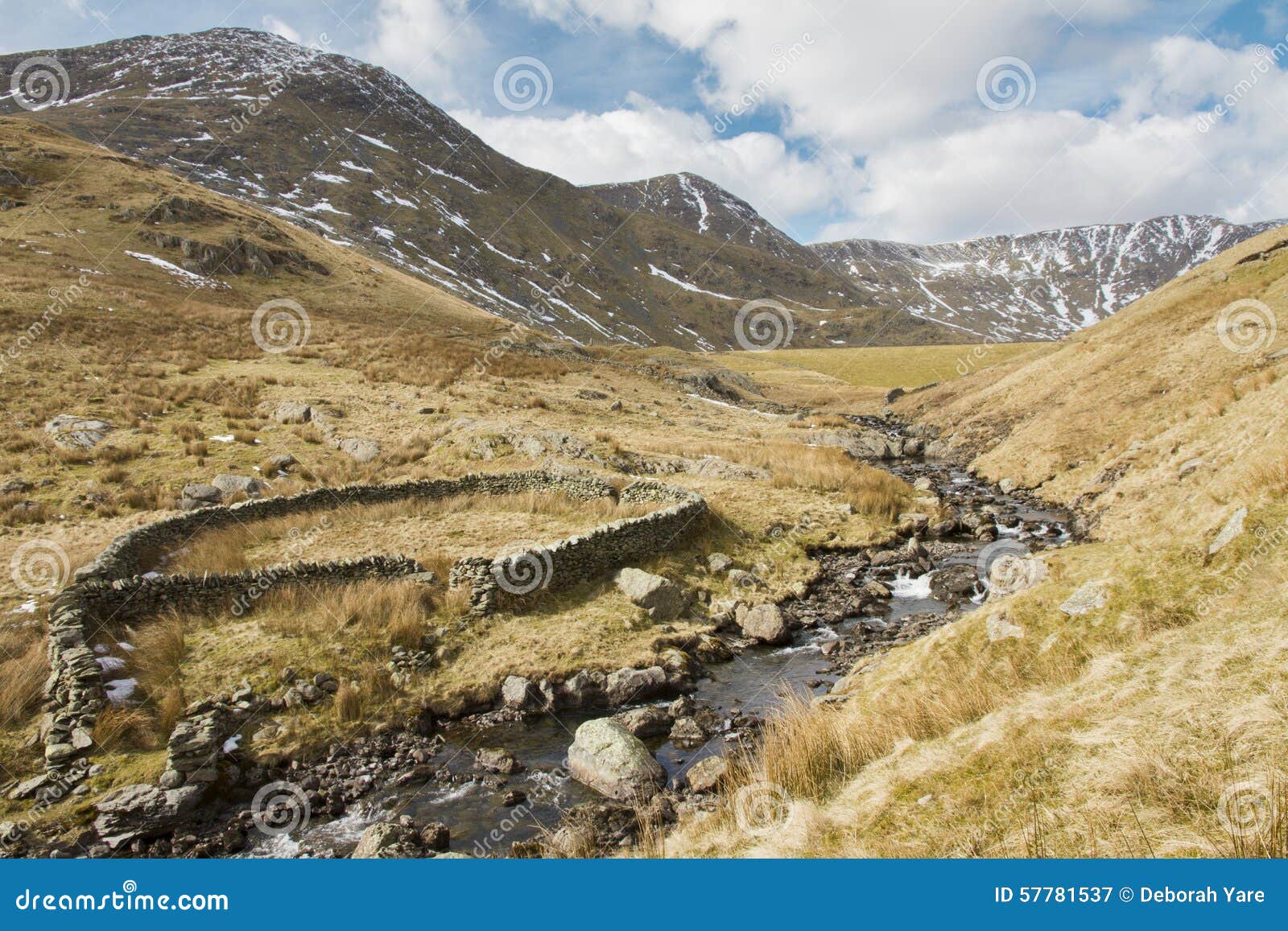 Sheep Fold Stock Image | CartoonDealer.com #38483905