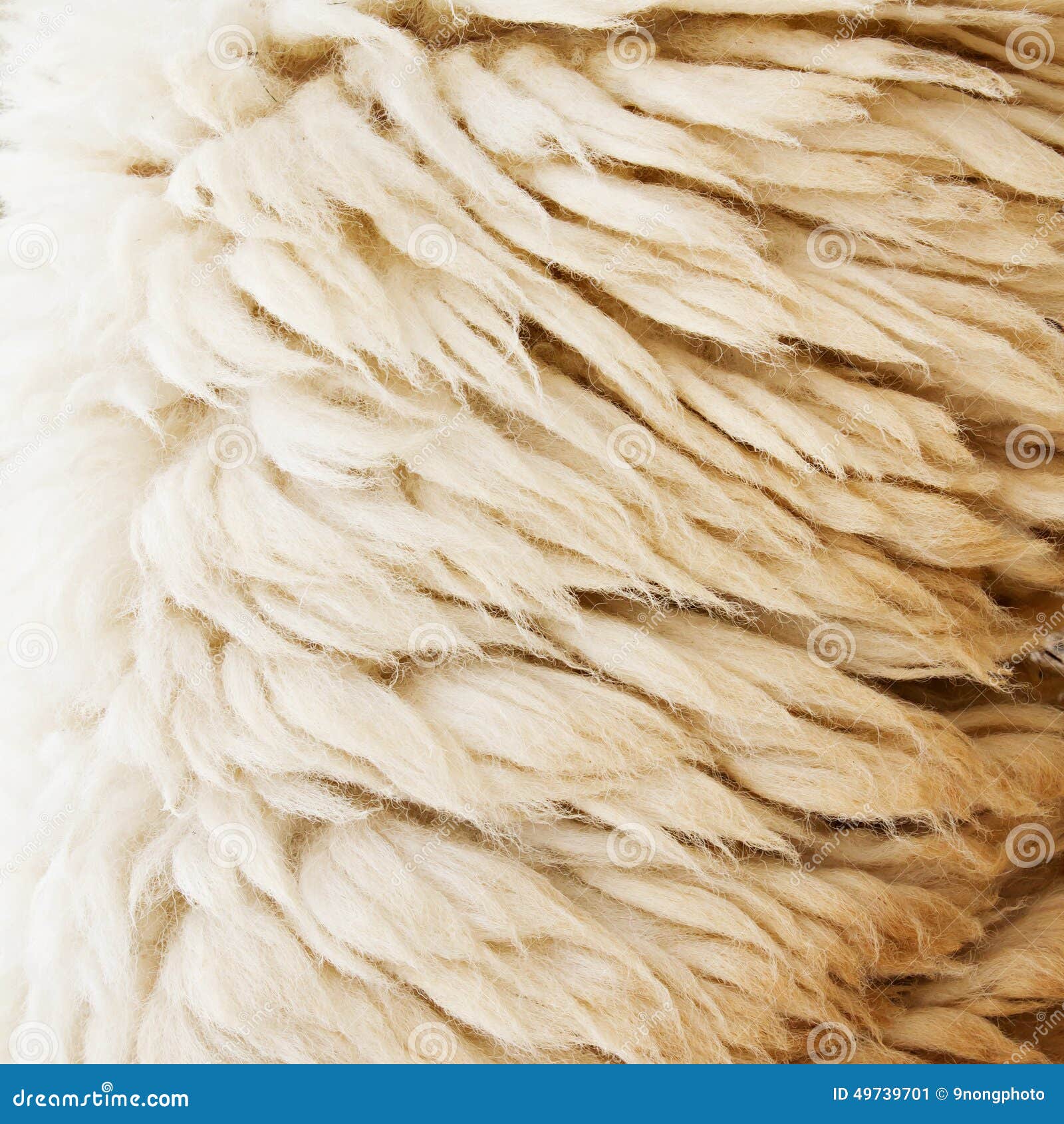 Sheep Fur Texture Background Closeup Stock Image - Image of brown ...