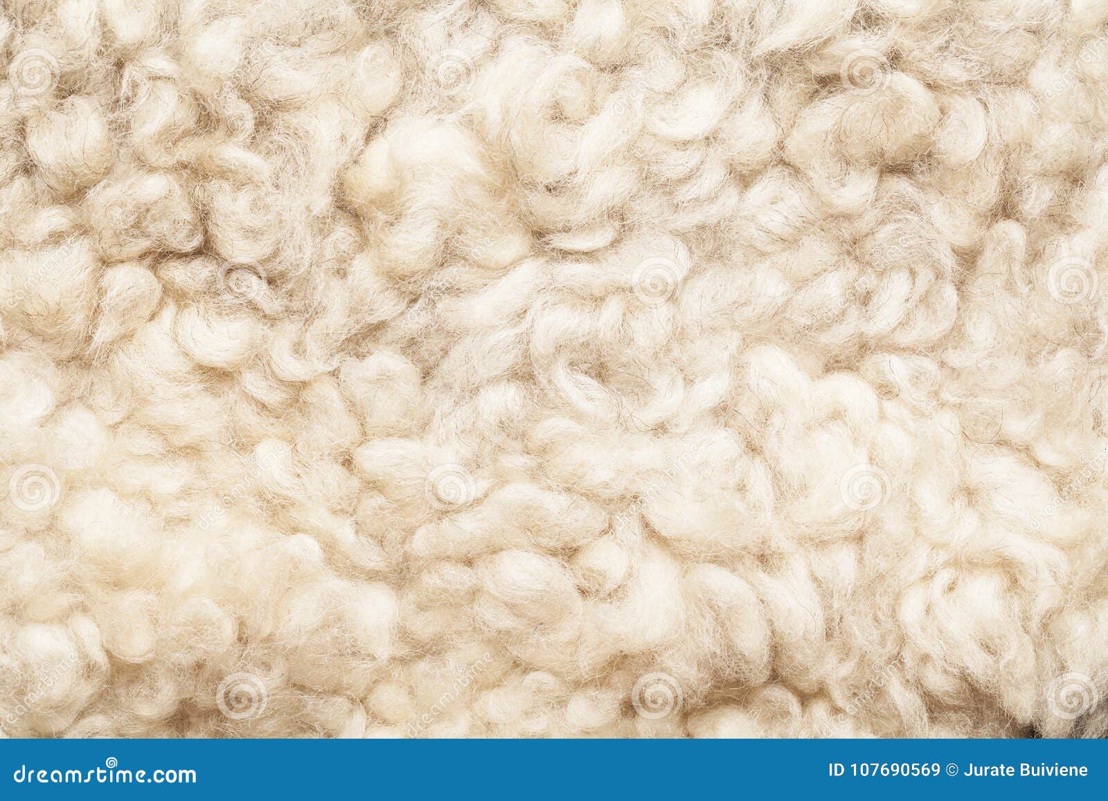 Sheep fur. Wool texture stock image. Image of abstract - 107690569