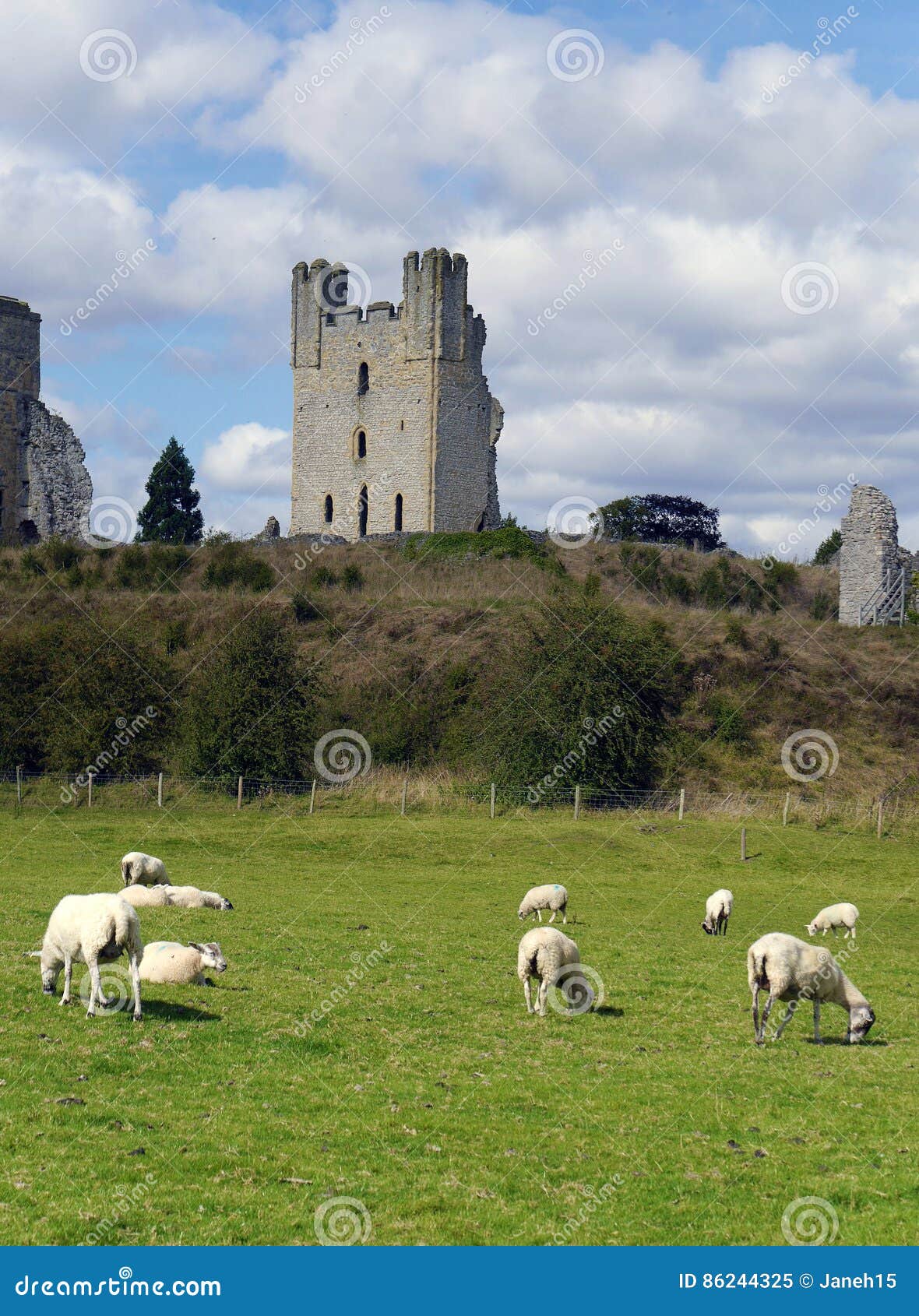 Sheep Graze in Front of Old Castle Stock Image - Image of scenic ...