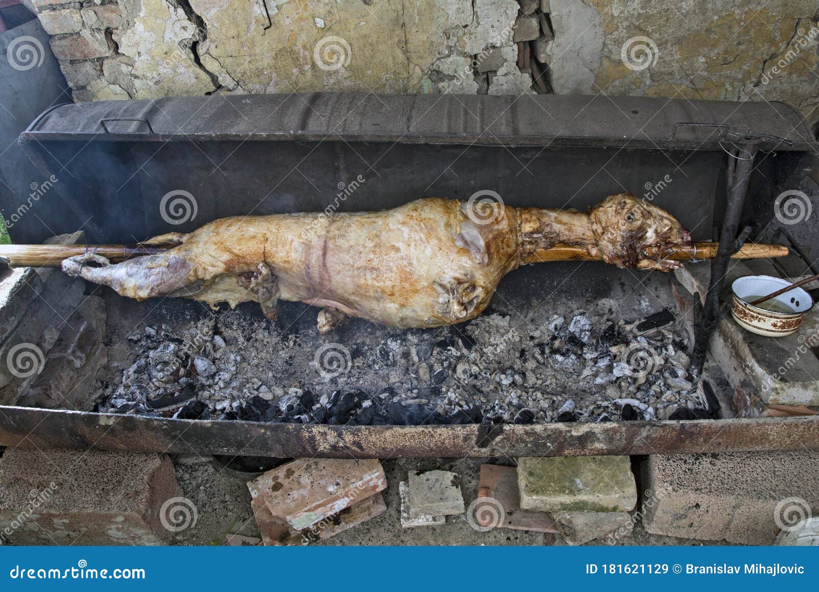Roasting a sheep on a spit stock image. Image of fresh - 181621129