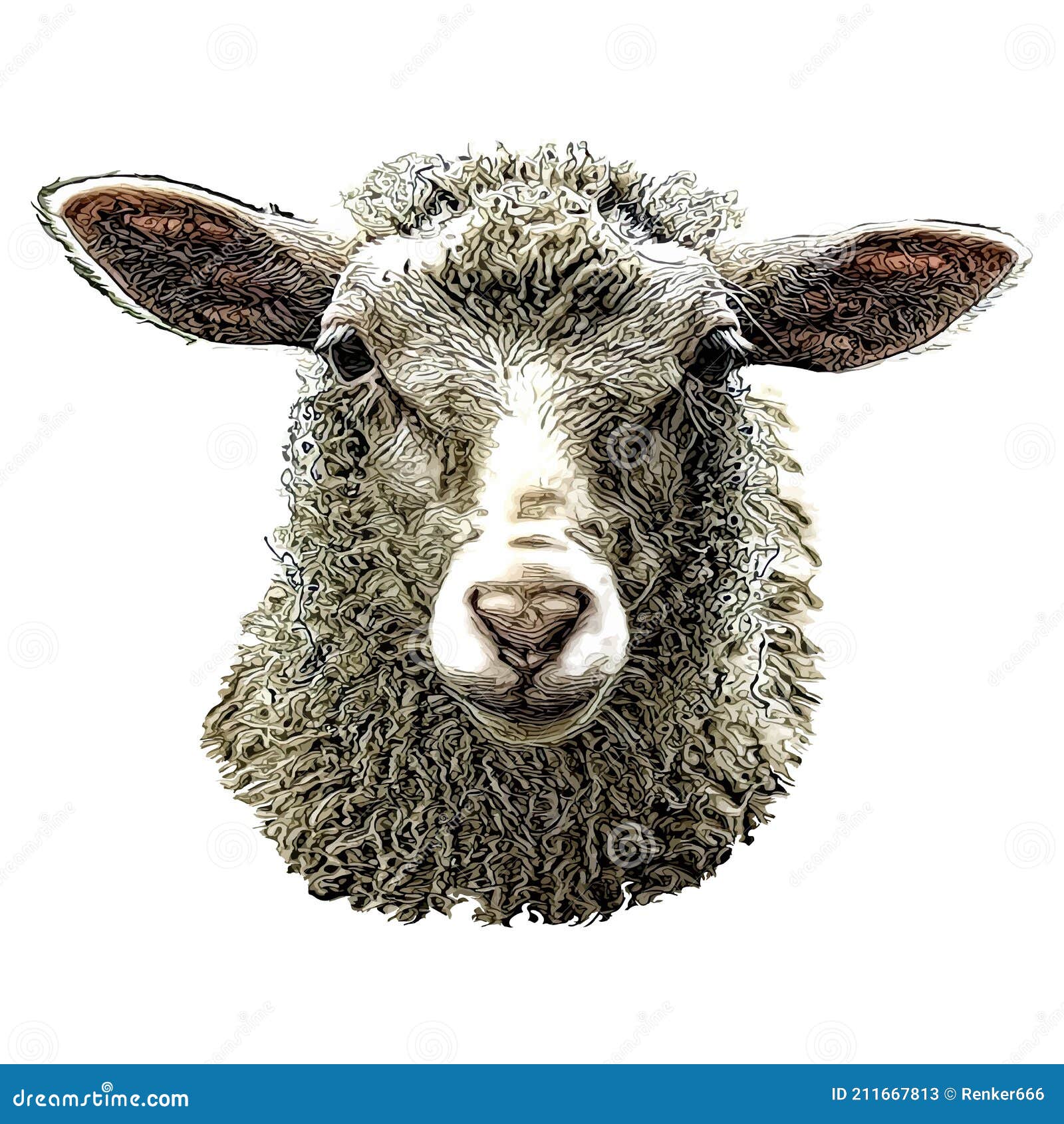 Sheep Head Vector Illustration Stock Vector - Illustration of drawn ...