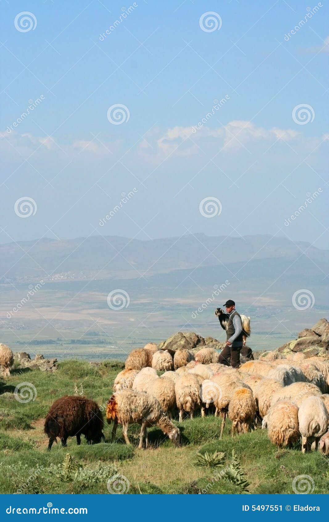 Royalty Free Images, Cartoons, Illustrations And Photos Designed By ...