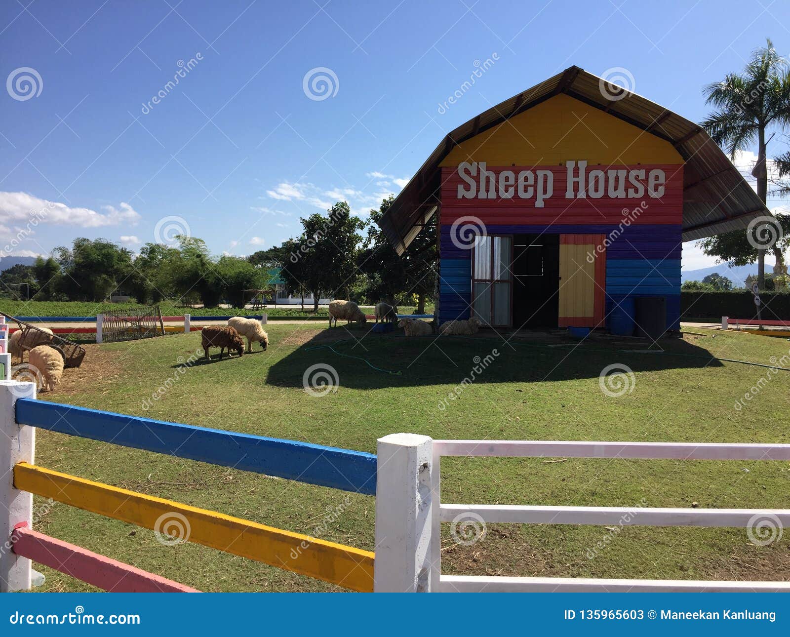 Sheep house in the farm stock image. Image of house - 135965603