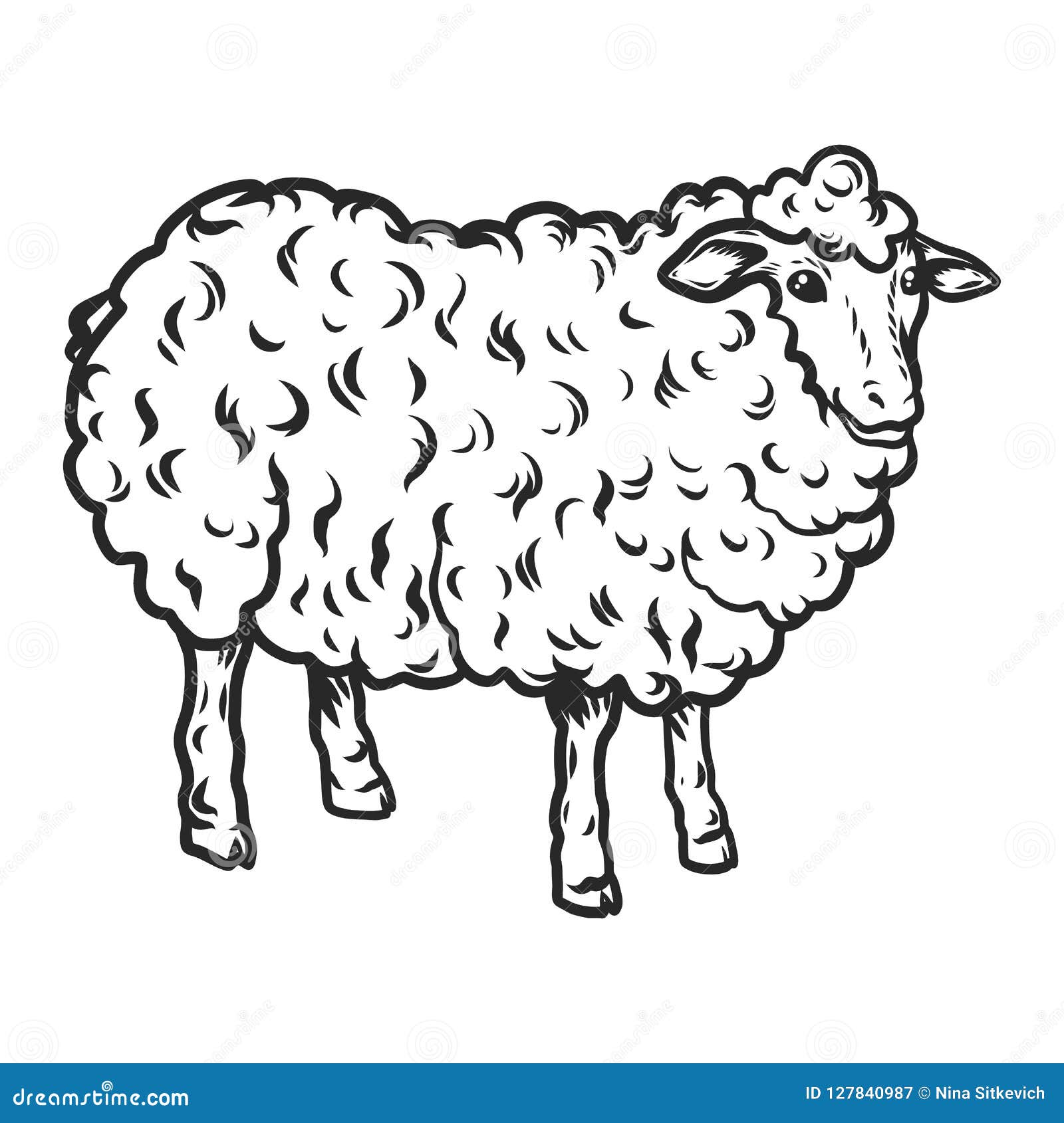Sheep Icon, Hand Drawn Style Stock Illustration - Illustration of ... Sheep Icon, Hand Drawn Style Stock Illustration - Illustration of ...