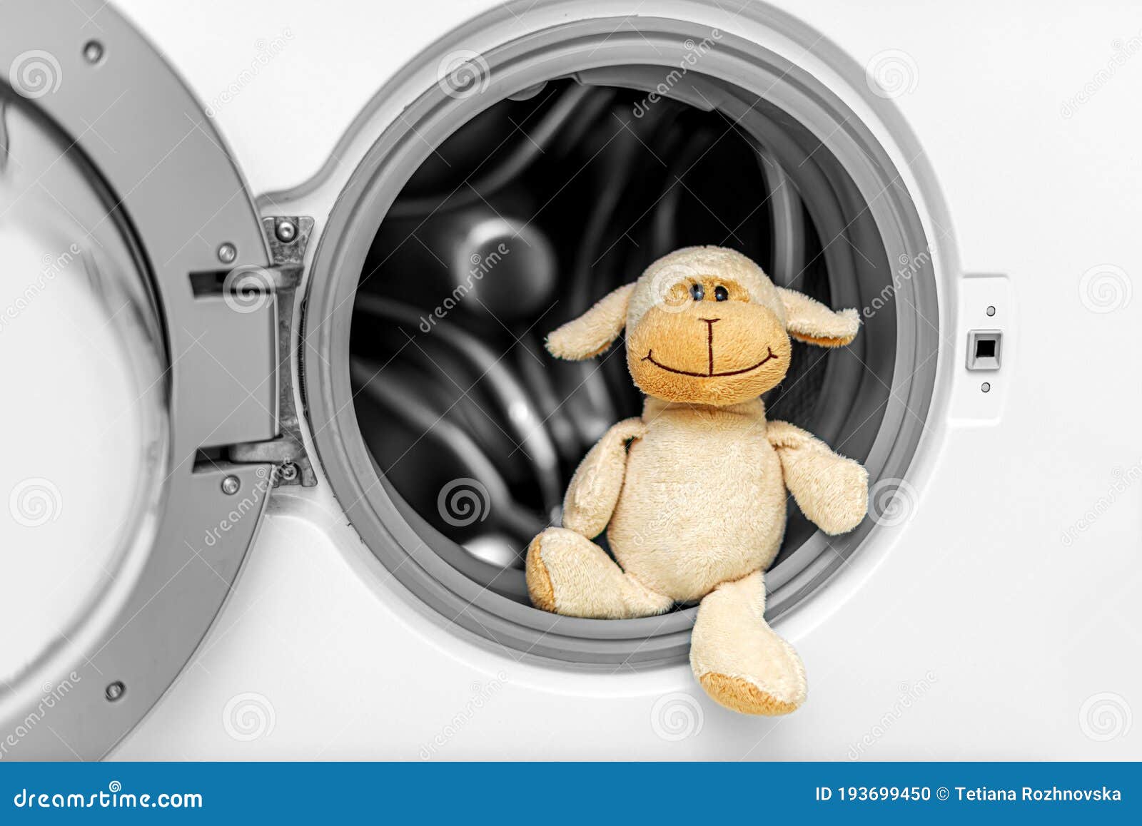Sheep or Lamb is Getting Ready To Be Washed in the Washing Machine ...