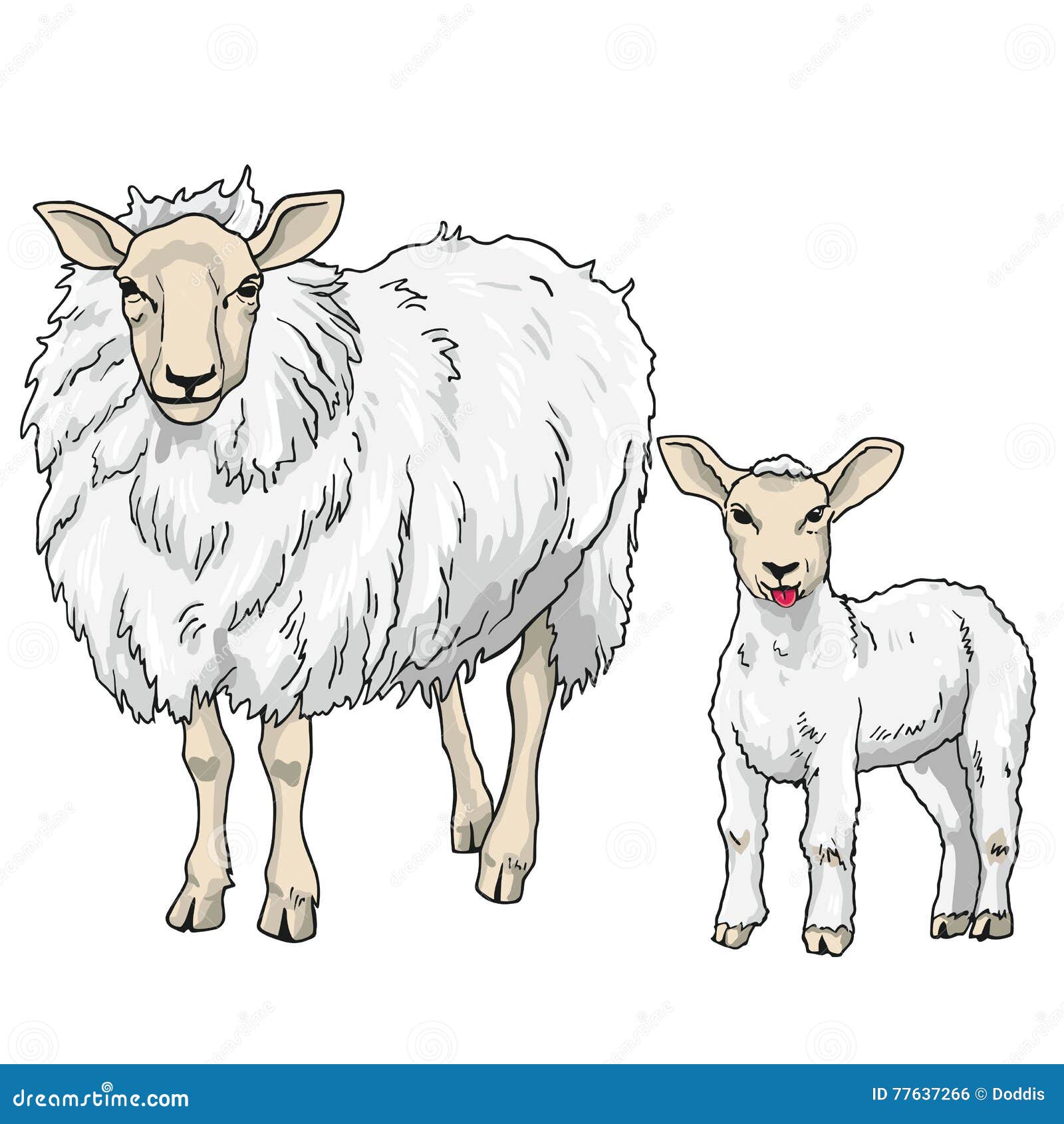 Sheep Or Lamb Farm Animal In Silhouette Cartoon Vector | CartoonDealer ...