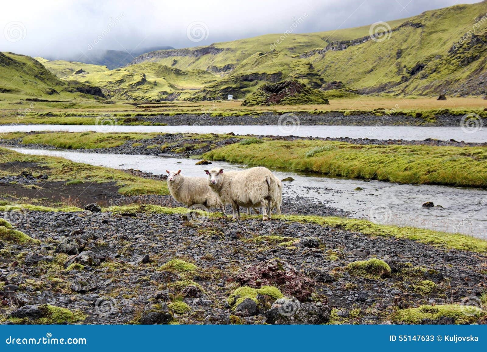 Lava Lamb Stock Photos - Free & Royalty-Free Stock Photos from Dreamstime