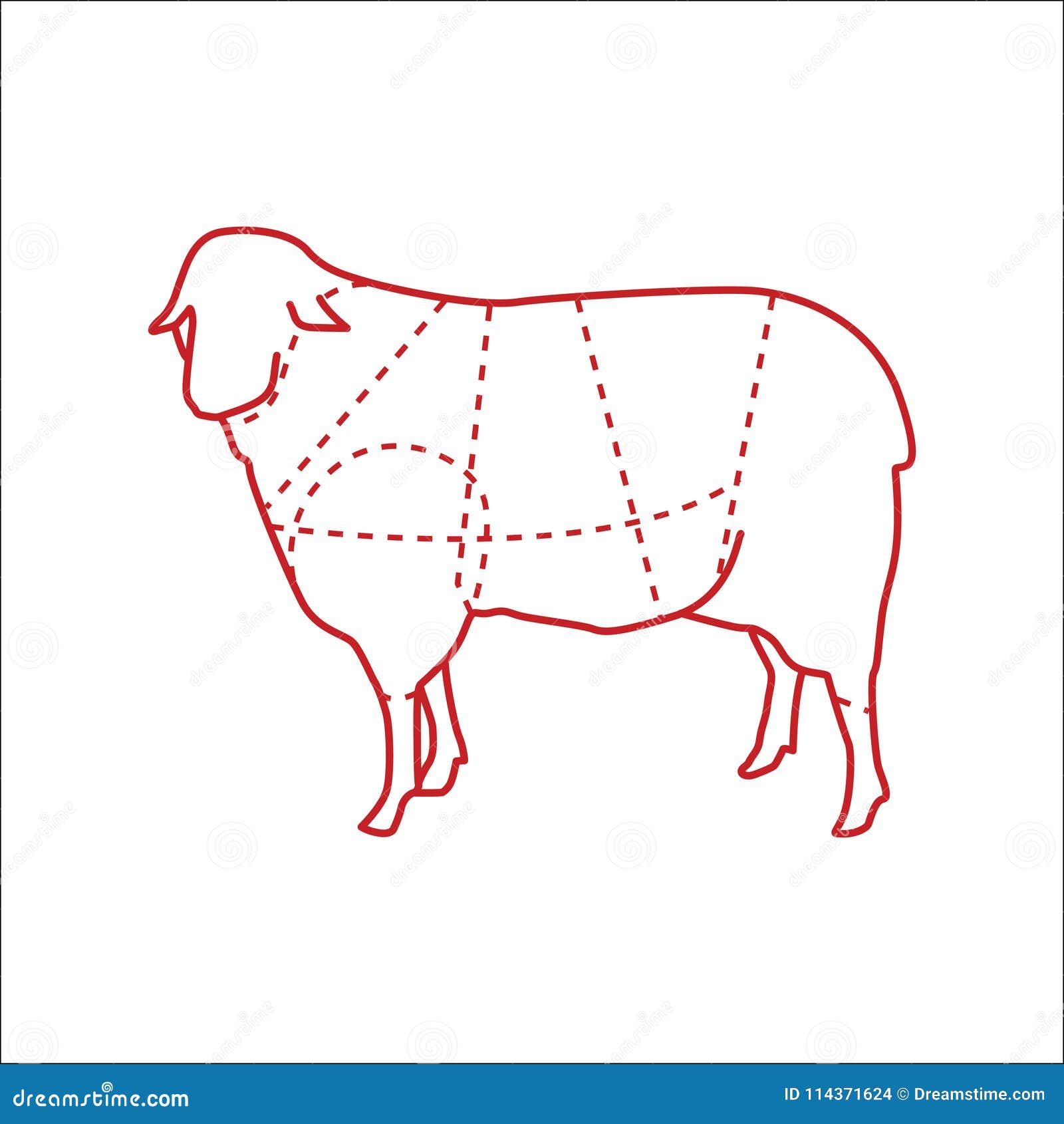Sheep Meat Chart Vector for Butchers Vector Line Art Vector Stock ...