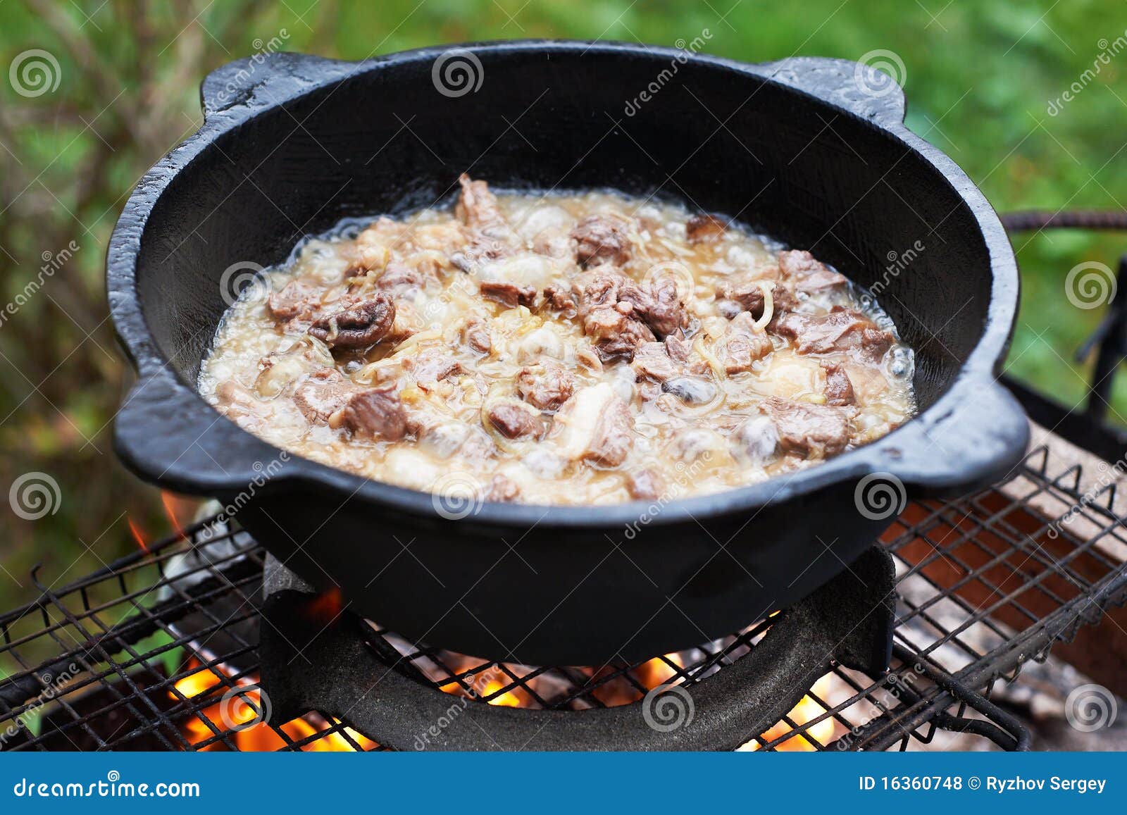 Sheep Meat Fried with Onions in Oil Stock Photo - Image of burn, iron ...
