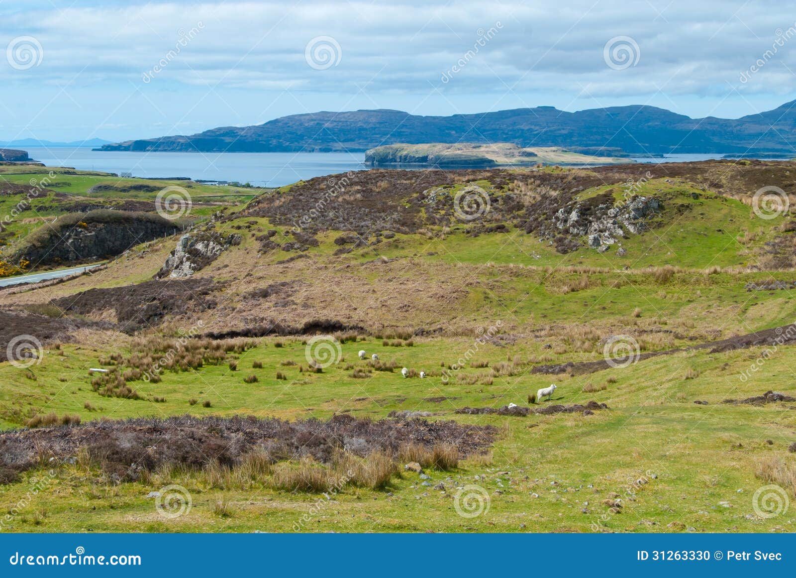 Sheep pasture stock photo. Image of mountains, rock, brown - 31263330