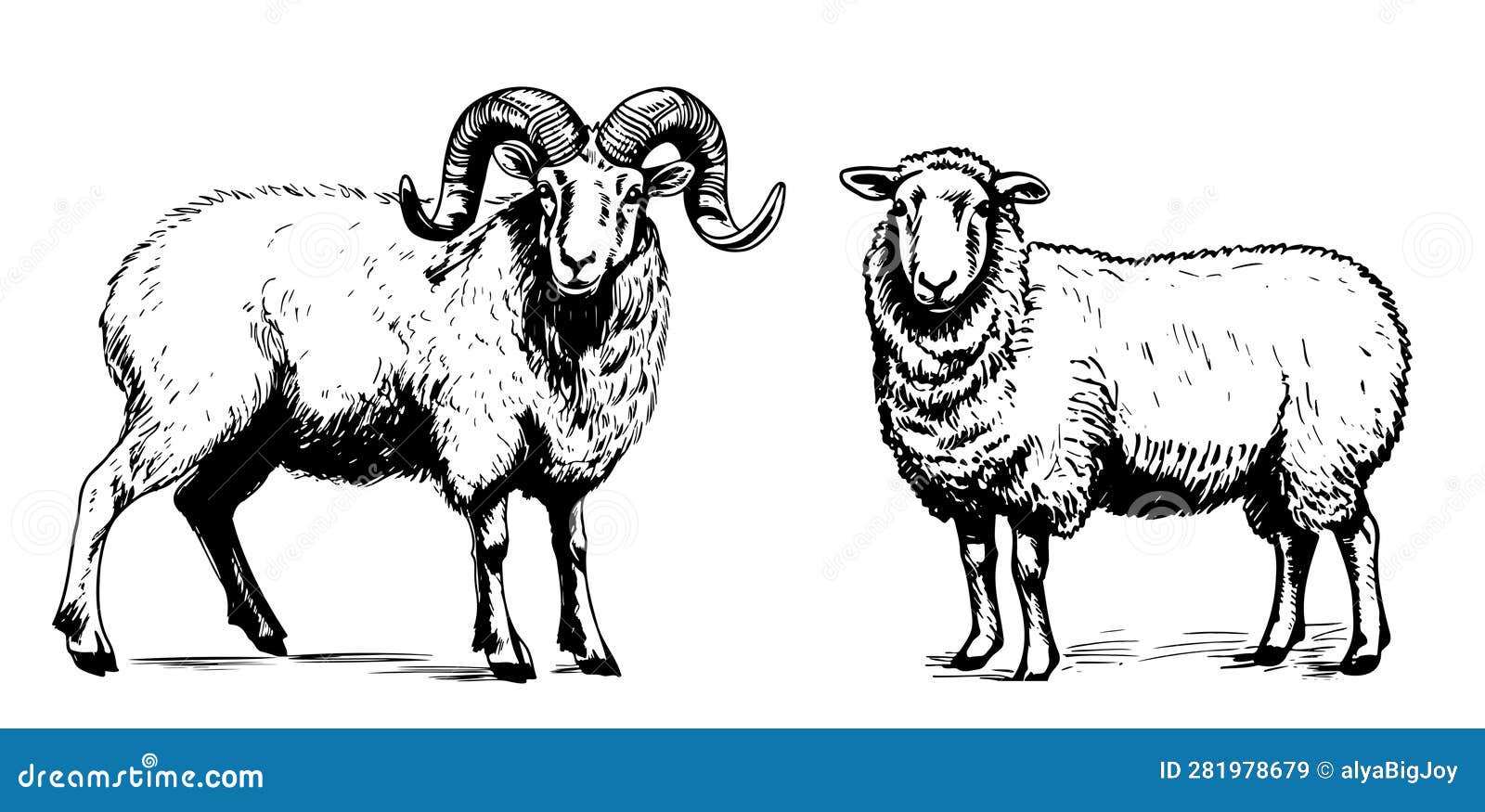 Sheep and Ram Breeding Sketch Hand Drawn in Doodle Style Vector ... Sheep and Ram Breeding Sketch Hand Drawn in Doodle Style Vector ...