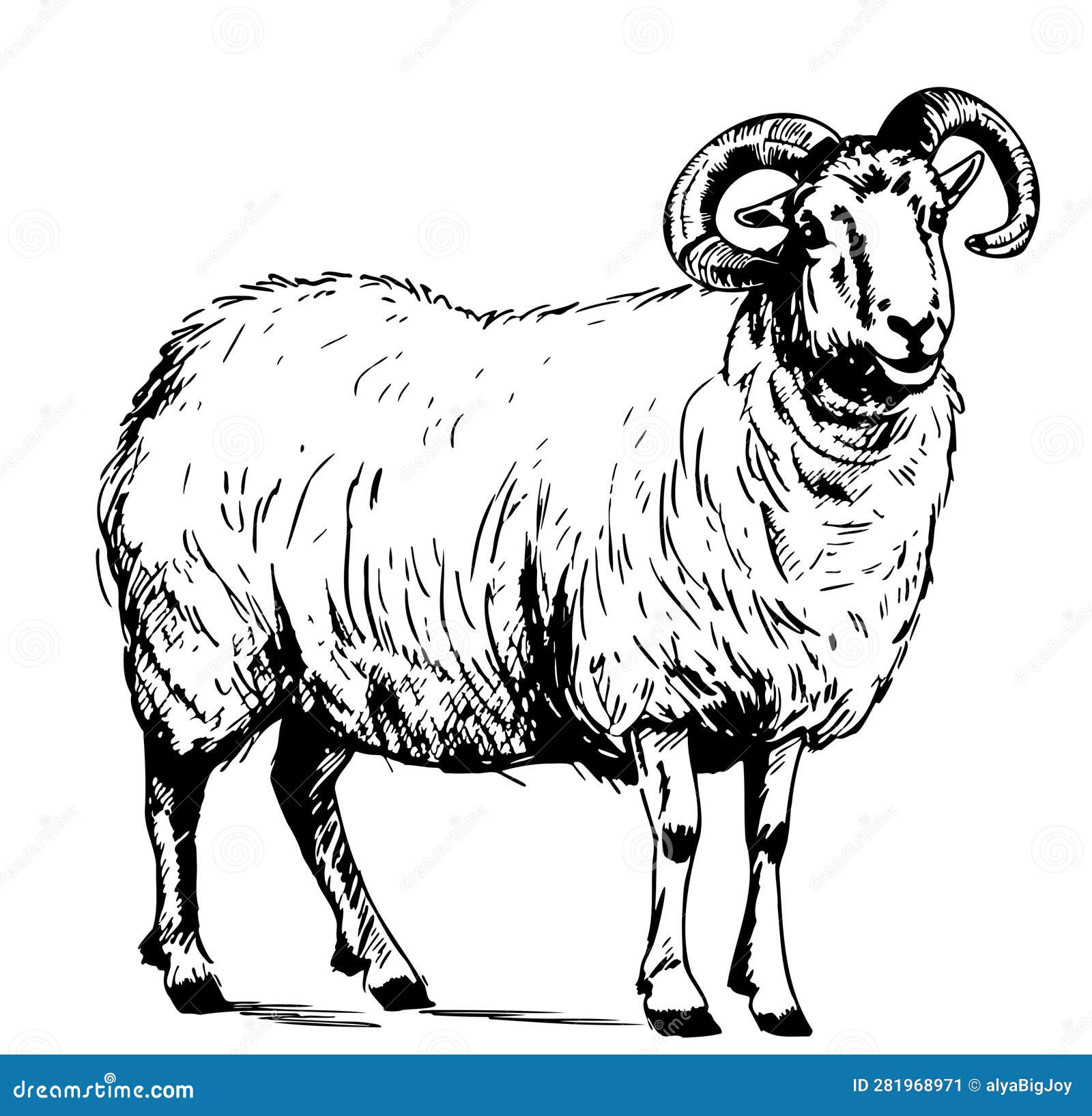 Sheep Ram Breeding Sketch Hand Drawn in Doodle Style Vector ... Sheep Ram Breeding Sketch Hand Drawn in Doodle Style Vector ...