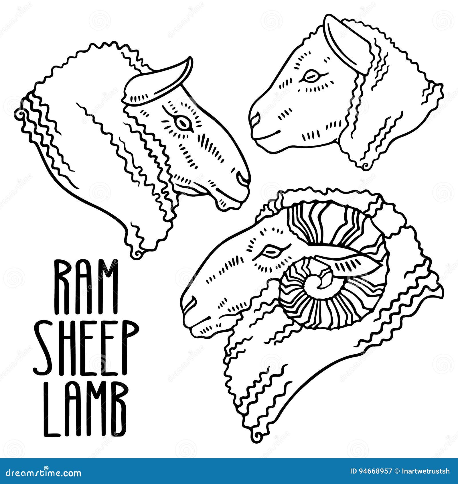 Simple Ram Drawing