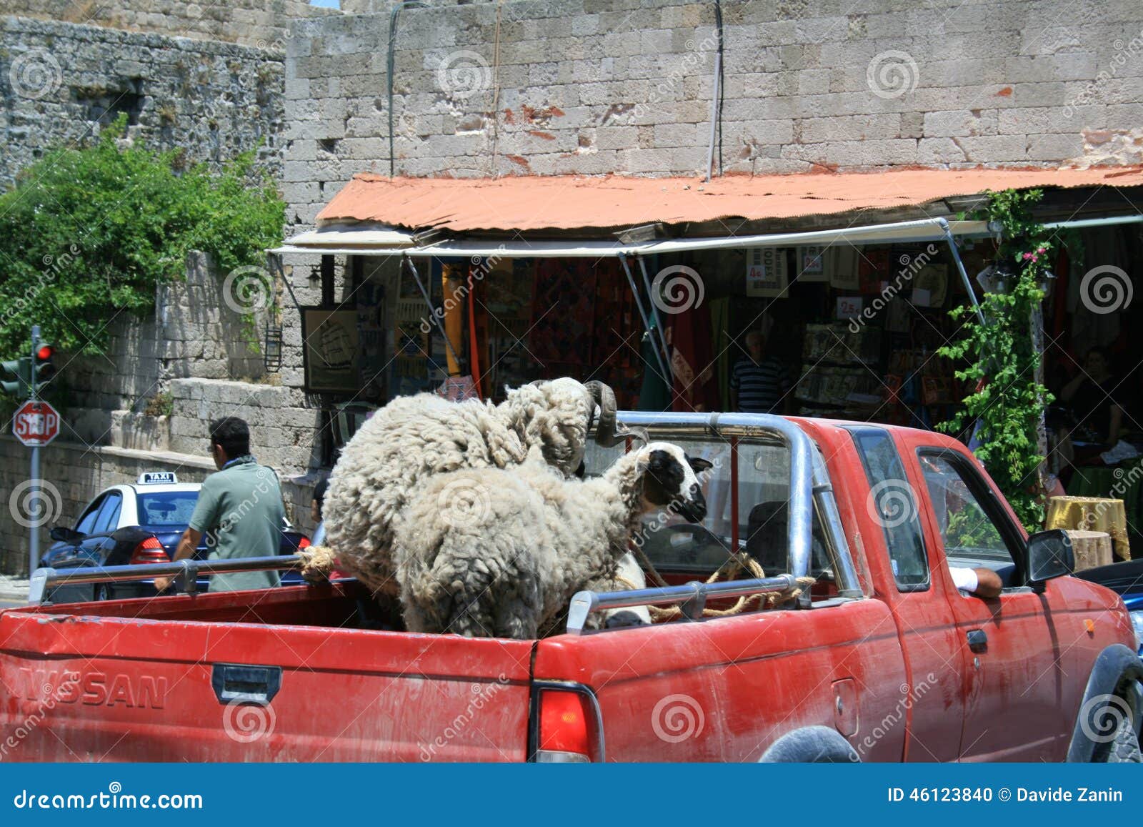 Sheep on red van editorial image. Image of animals, farmer - 46123840