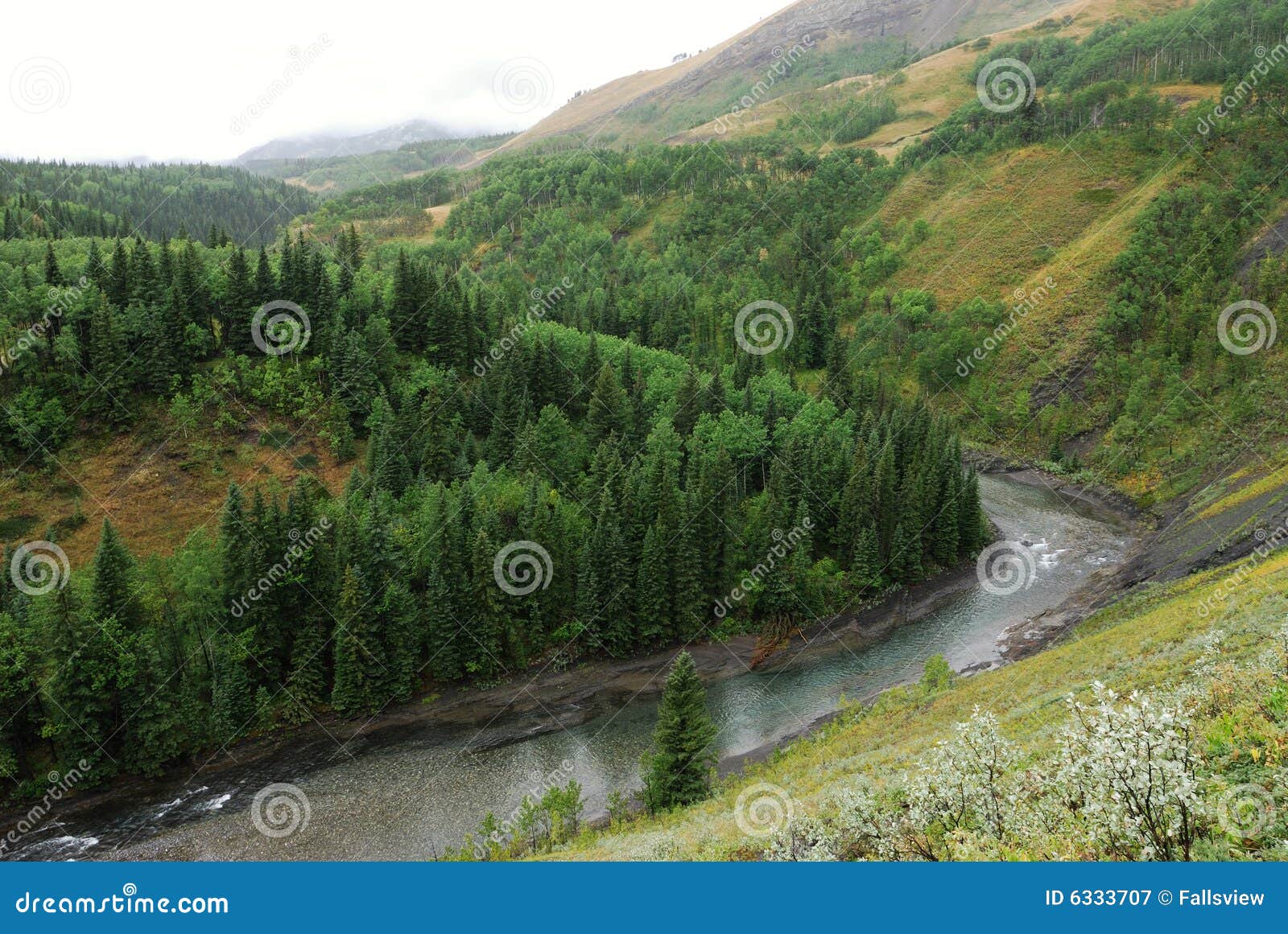 Sheep river valley stock image. Image of sheep, forests - 6333707