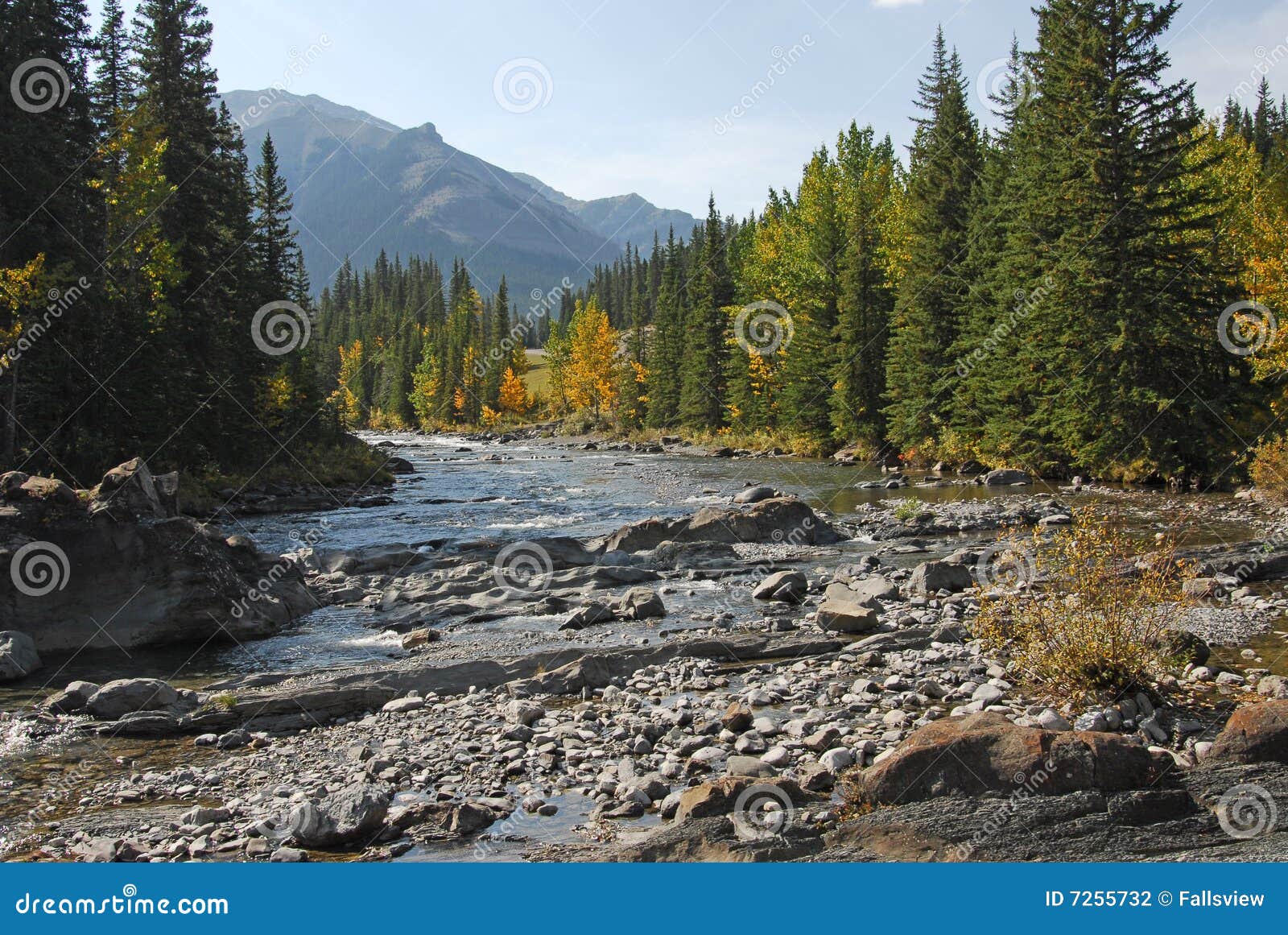 Sheep river valley stock photo. Image of creek, lookout - 7255732