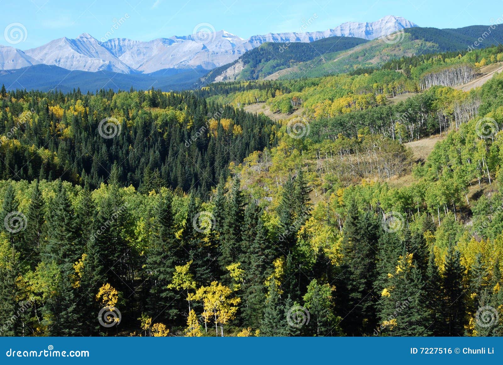 Sheep River Valley in Autumn Stock Photo - Image of calgary, beautiful ...