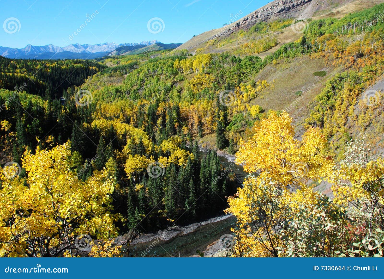 Sheep River Valley in Autumn Stock Photo - Image of holiday, farm: 7330664
