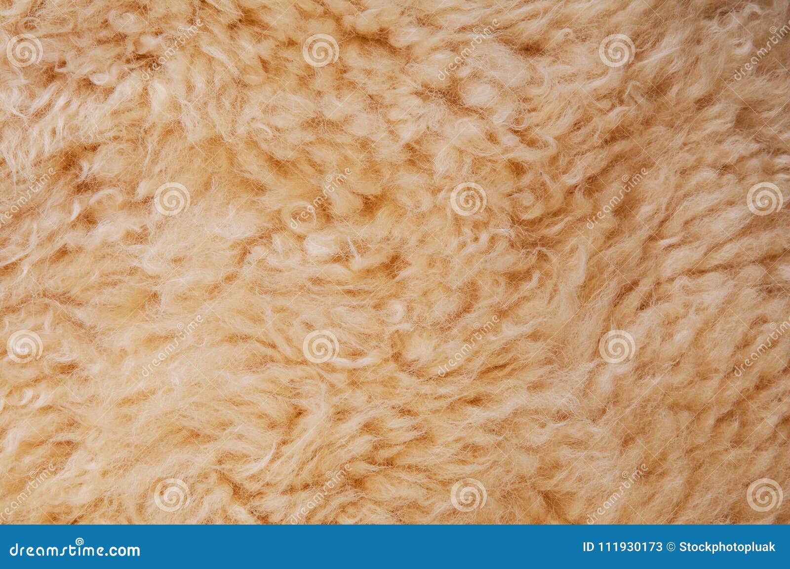Sheep`s Wool. Sheep Wool Texture Lamb Background Stock Image - Image of ...