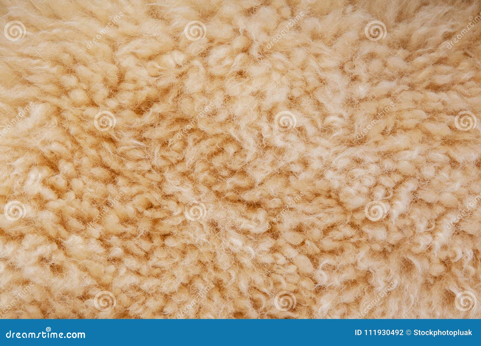 Sheep`s Wool. Sheep Wool Texture Lamb Background Stock Photo - Image of ...