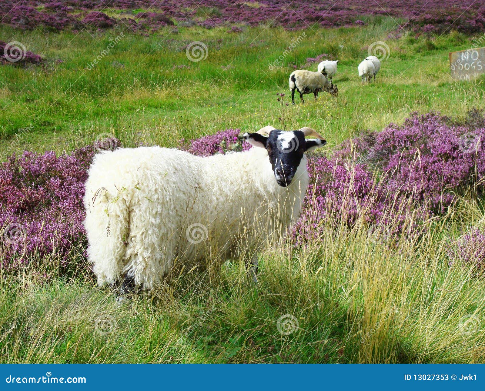 Scottish Highlands Castle Tower Royalty-Free Stock Photography ...