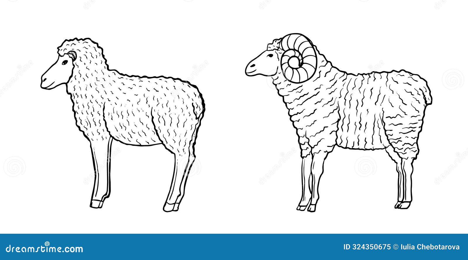 Sheep 300624 stock vector. Illustration of character - 324350675