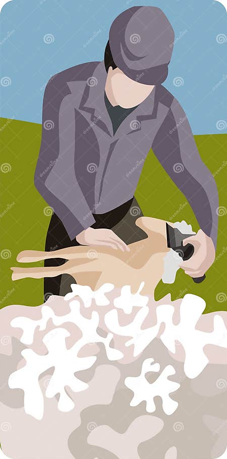 Sheep Shearer Illustration stock vector. Illustration of work - 2003121